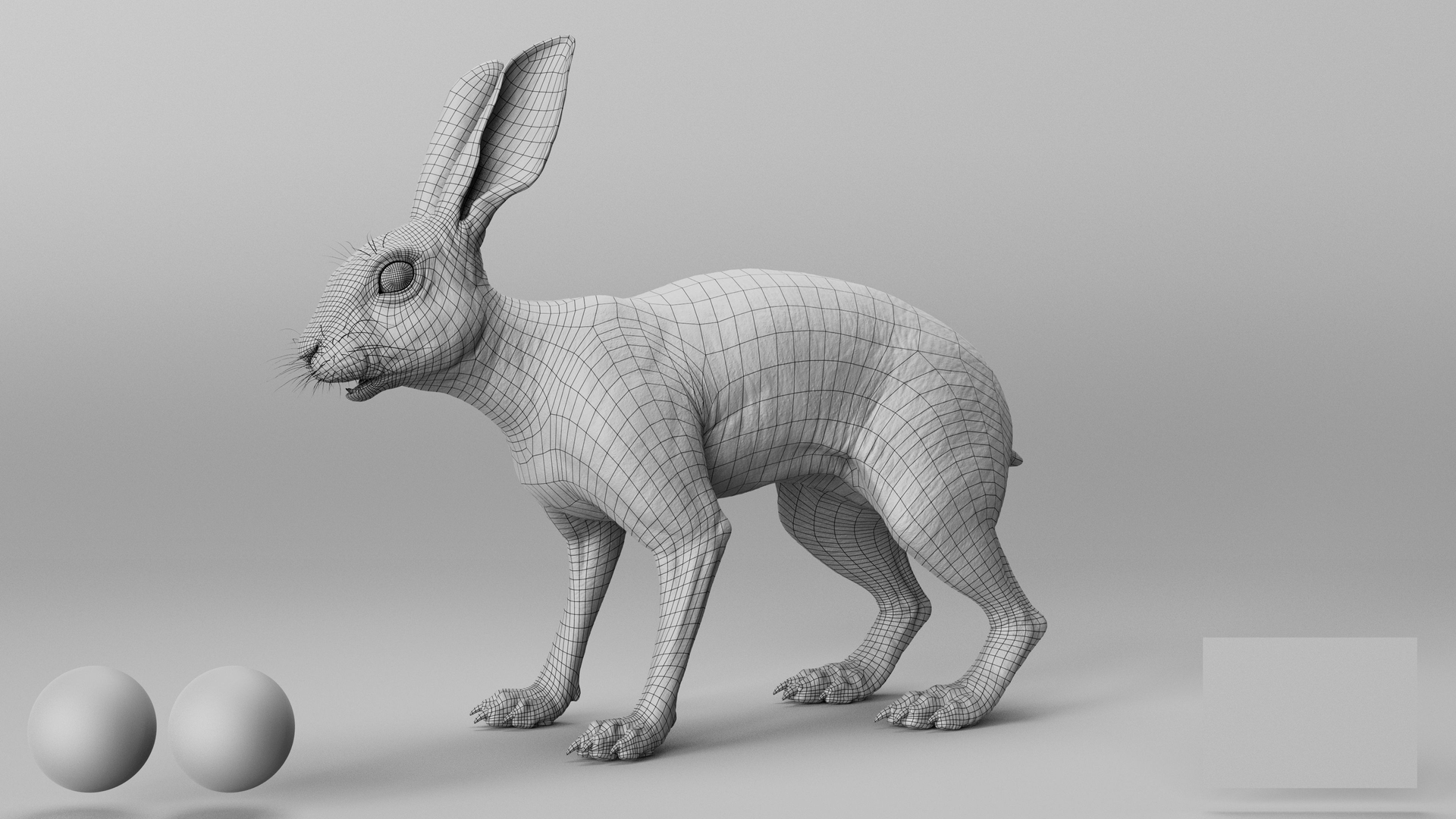 3D Model Hare - TurboSquid 2180781