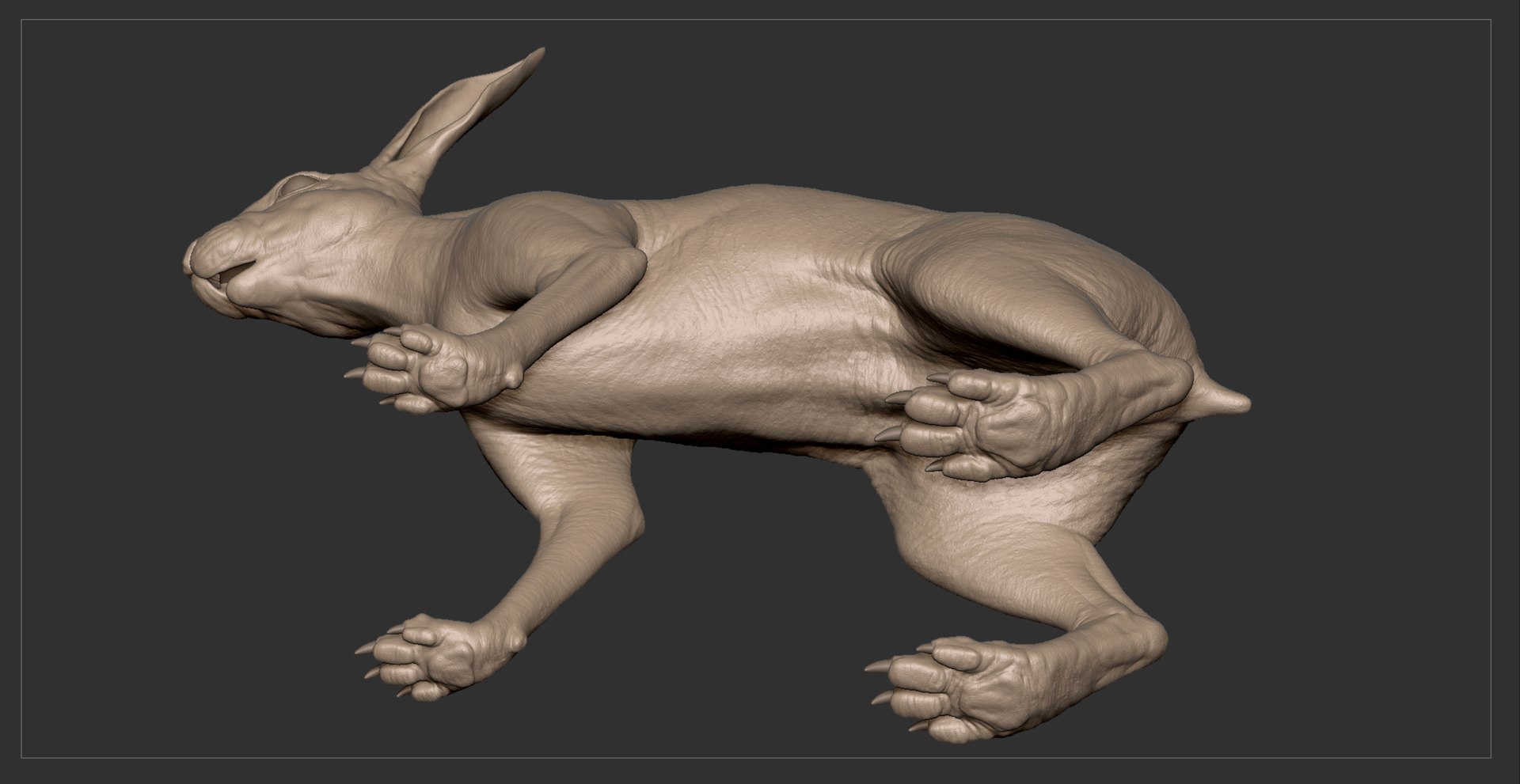 3D Model Hare - TurboSquid 2180781