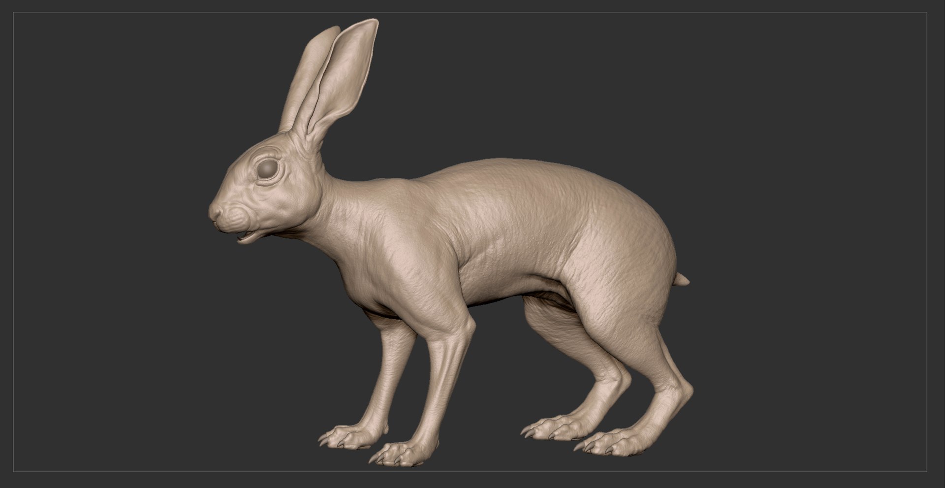 3D Model Hare - TurboSquid 2180781