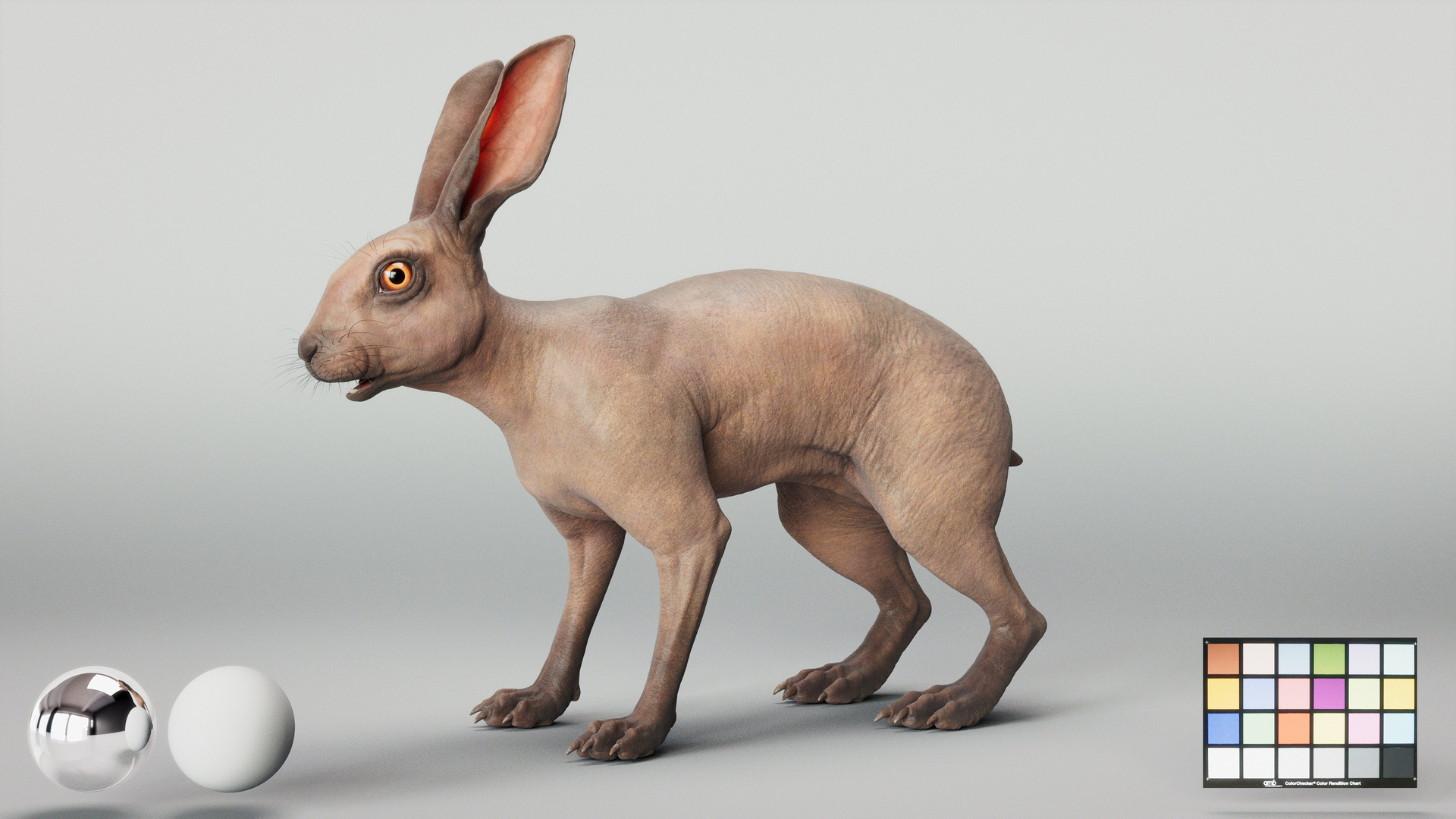 3D Model Hare - TurboSquid 2180781