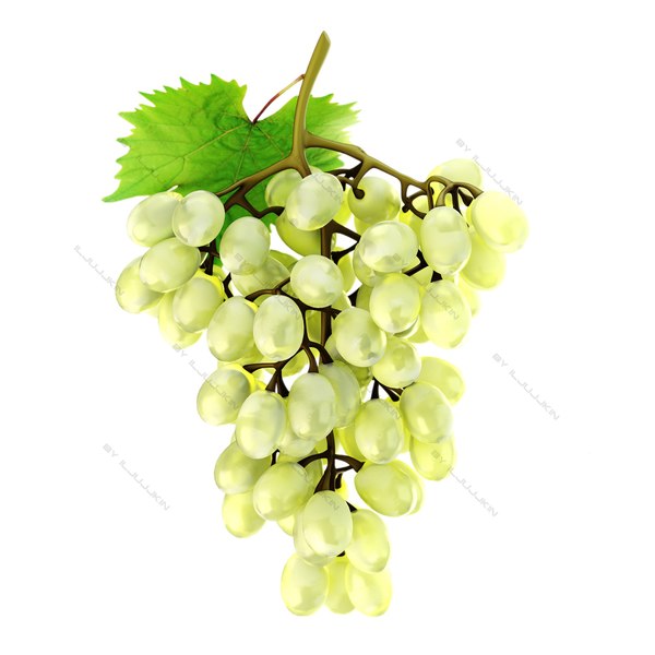 realistic grapes white 3d model