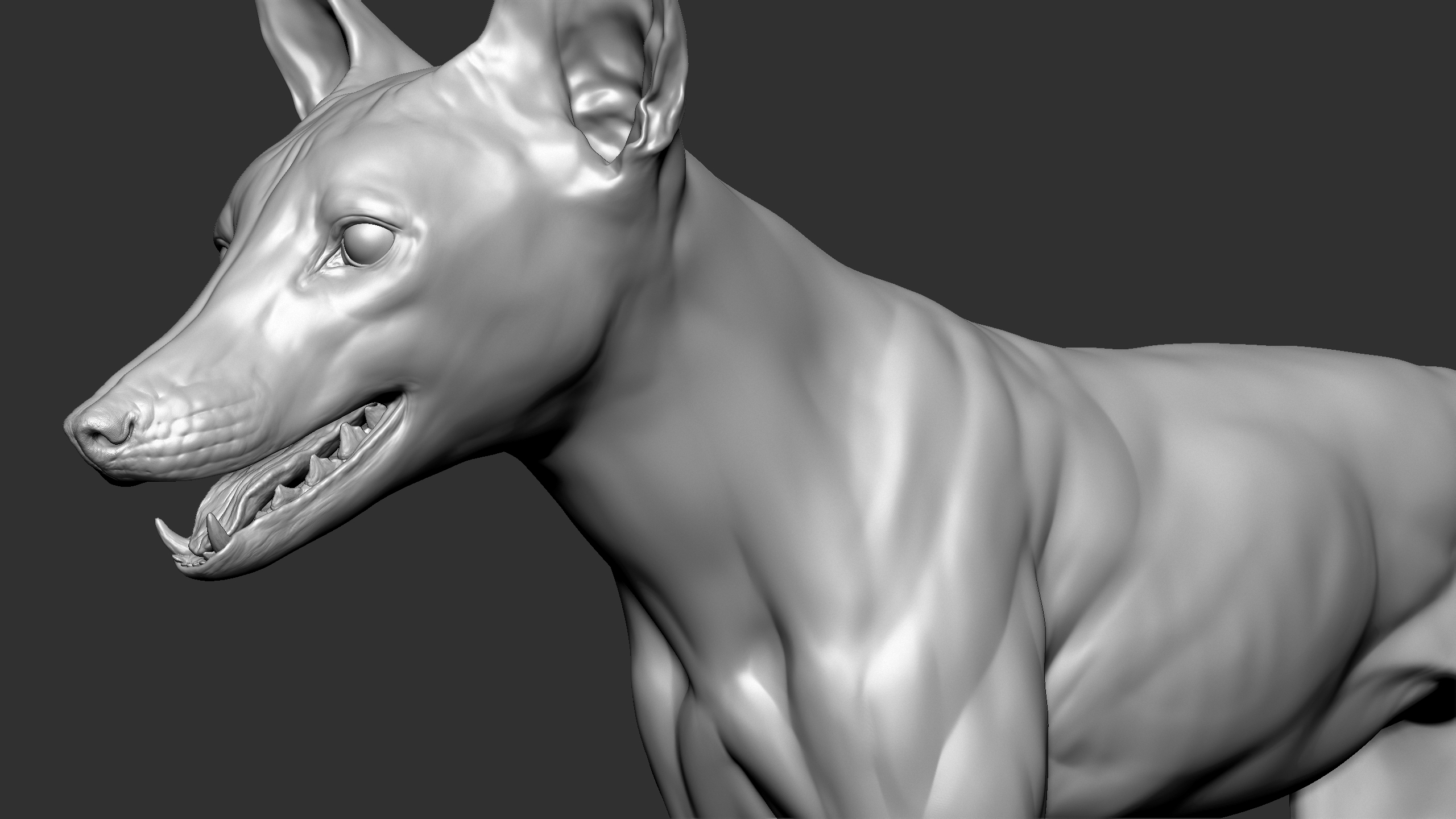 Zbrush 3D model - TurboSquid 1645572