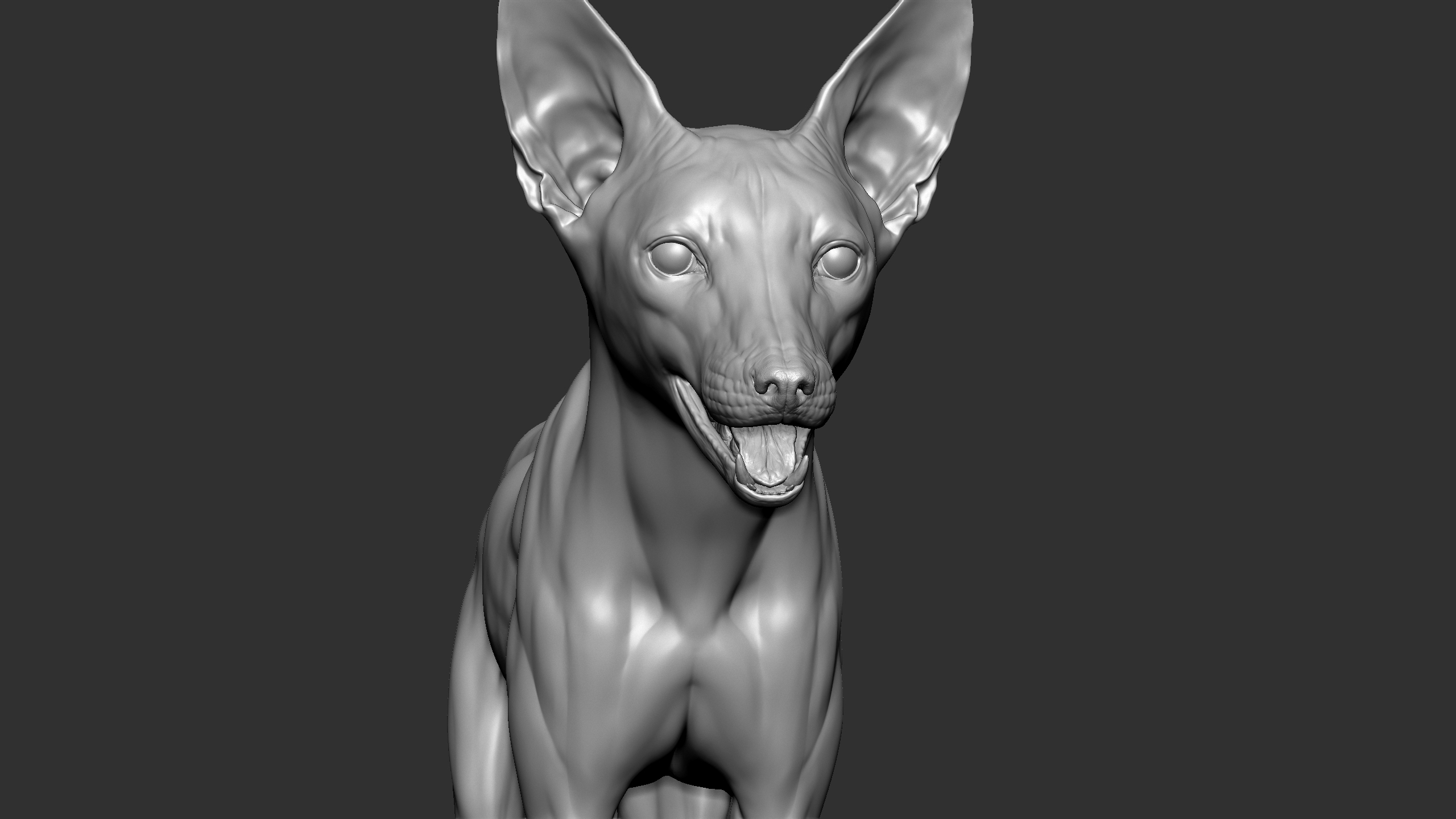 Zbrush 3D model - TurboSquid 1645572