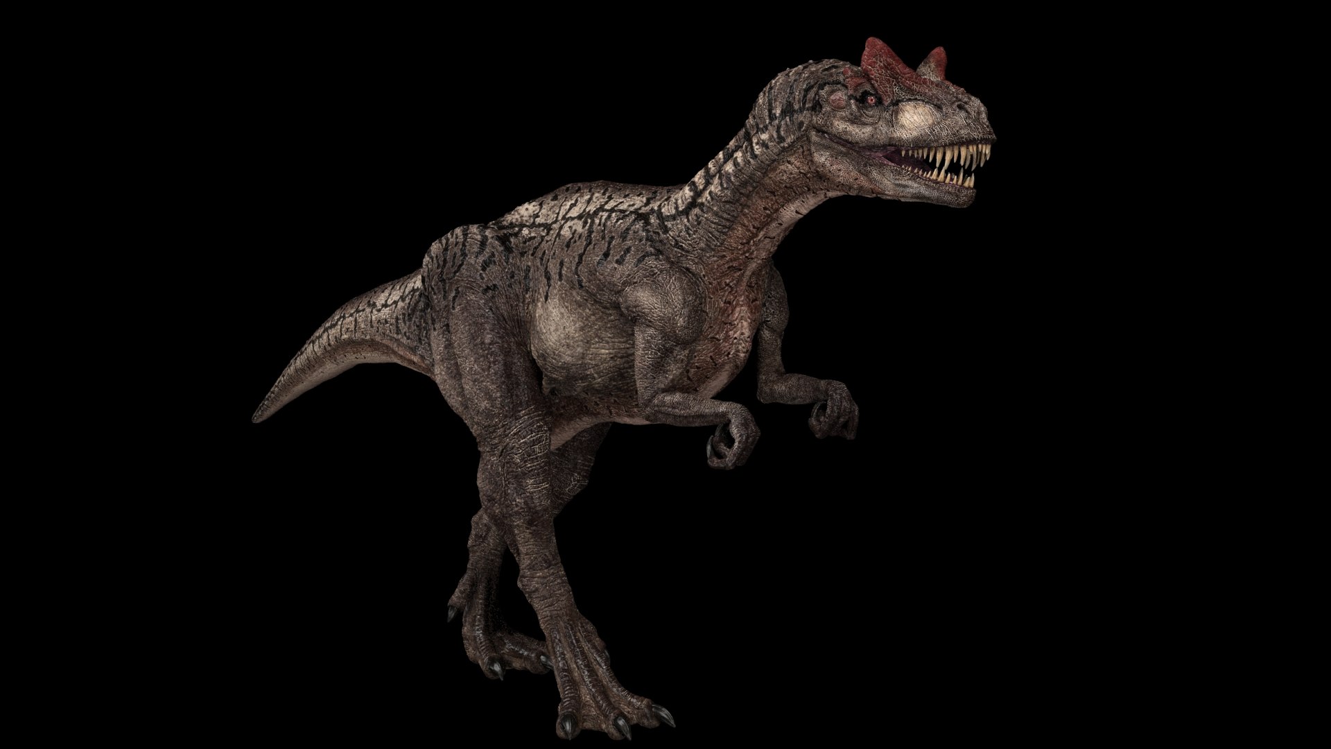 Allosaurus 3D Model - TurboSquid 1376263