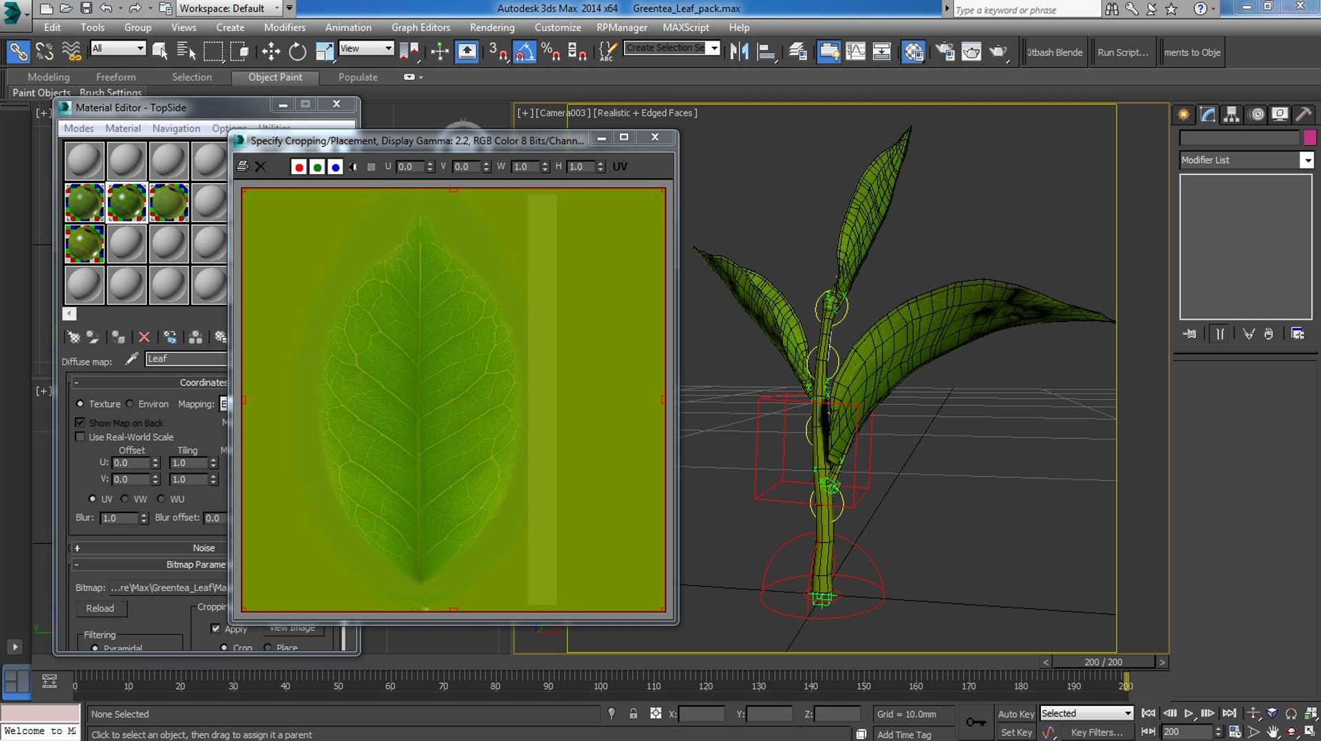 Green Tea Leaf 3D Model - TurboSquid 1330545