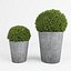 Max Realistic Planters