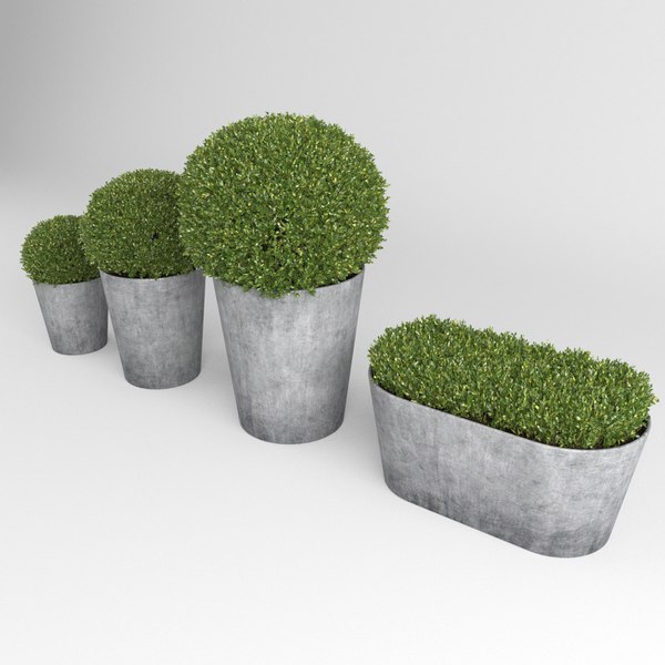 max realistic planters