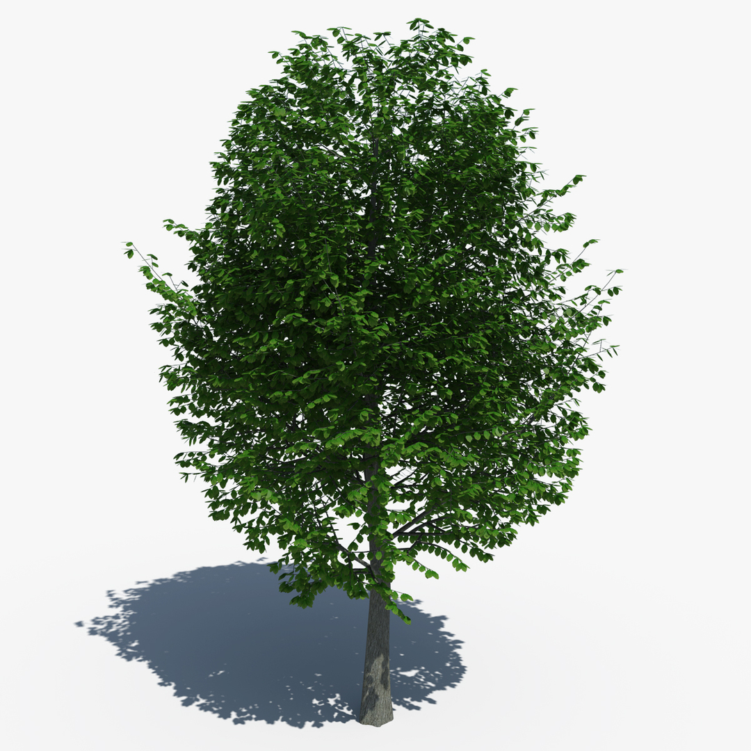 Free Obj Model Tree