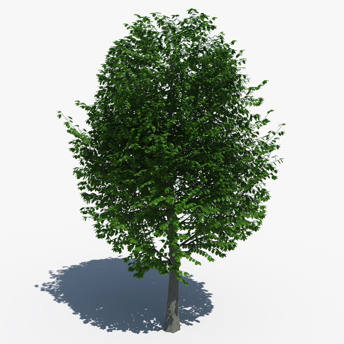 free obj model tree