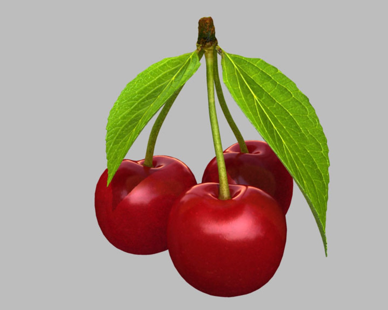 3d Photo Realistic Cherry