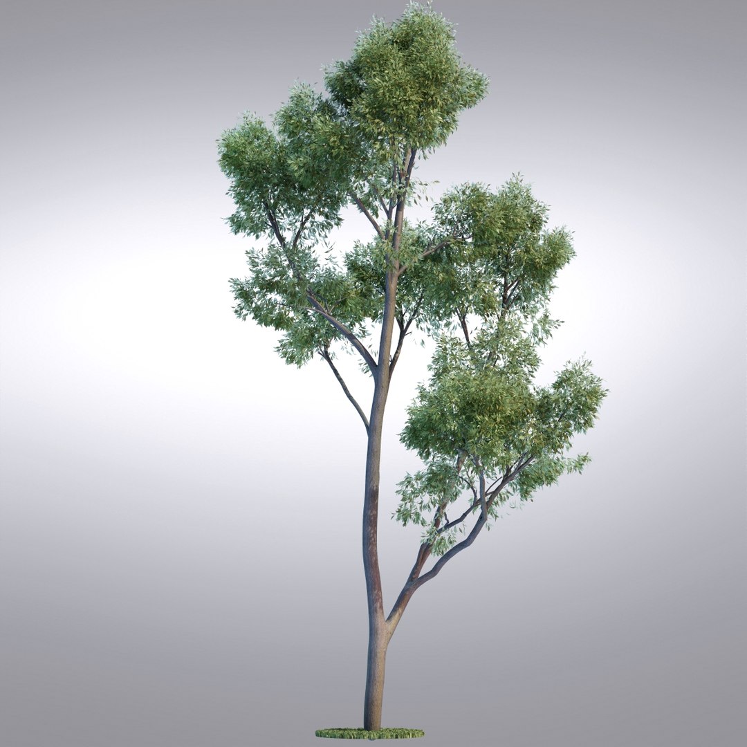 3d Model Hi Realistic Series Tree