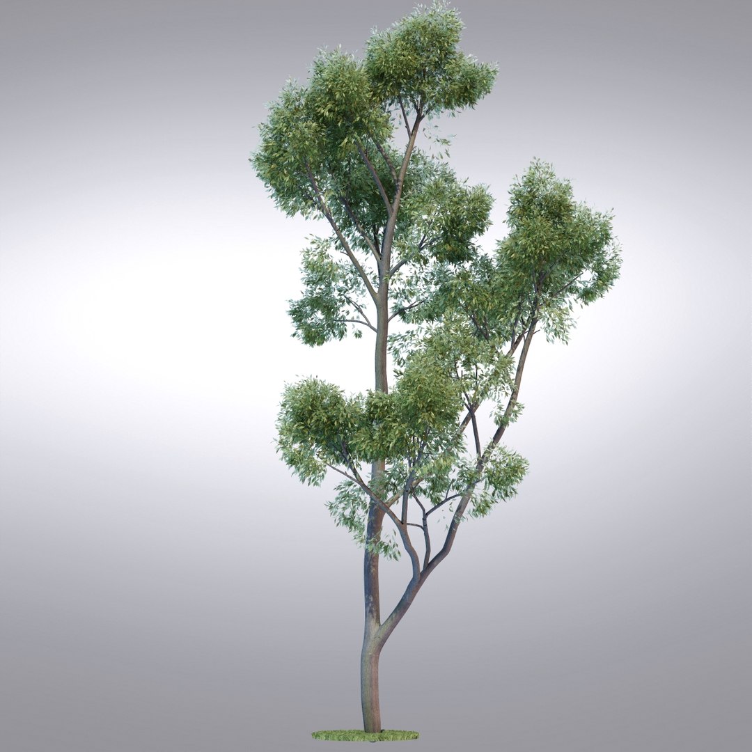 3d Model Hi Realistic Series Tree
