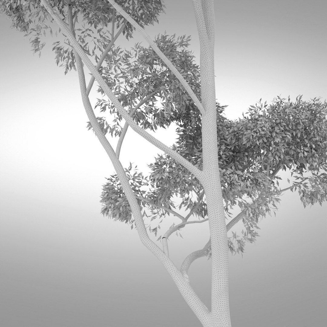 3d Model Hi Realistic Series Tree