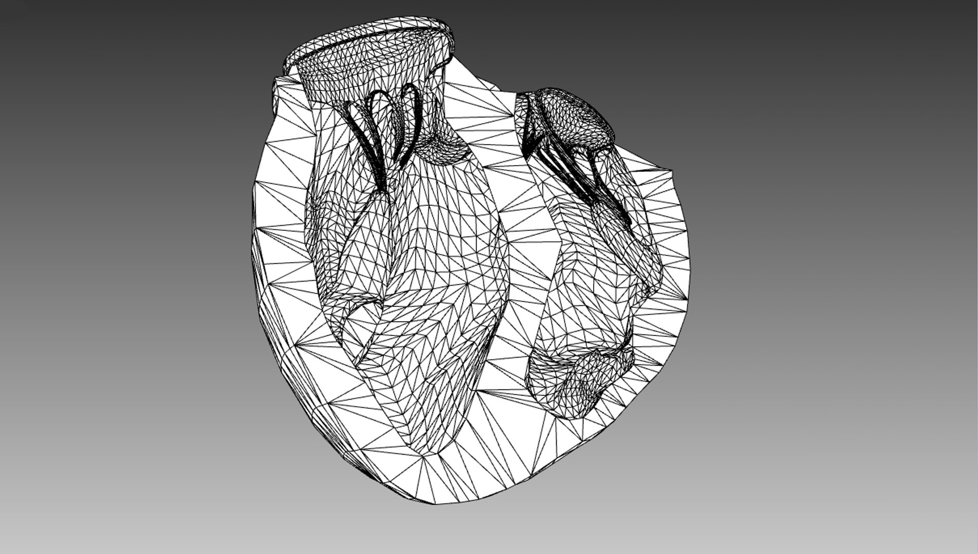 3d obj human heart anatomy