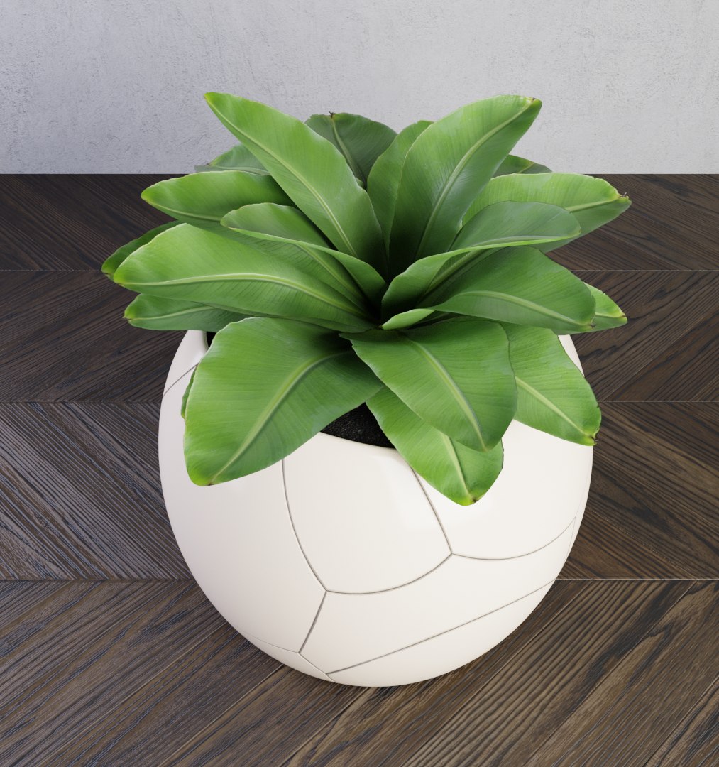 Plant Pot Model - TurboSquid 1516381