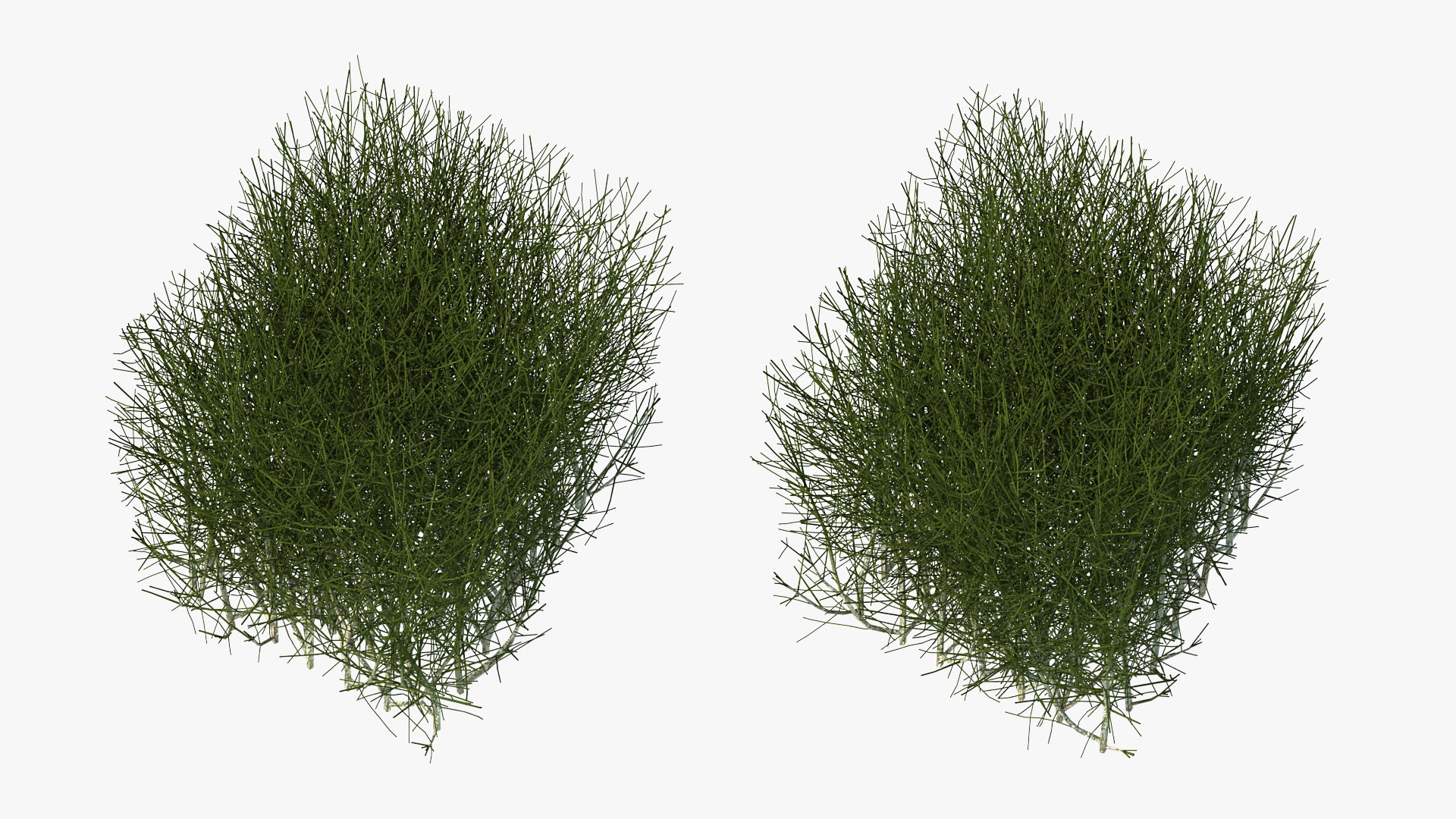 Square Bush 3D Model - TurboSquid 1575159