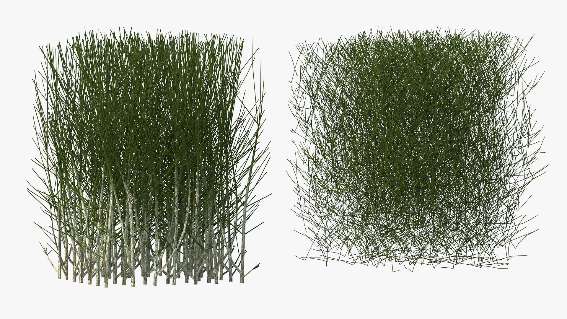 Square Bush 3D Model - TurboSquid 1575159