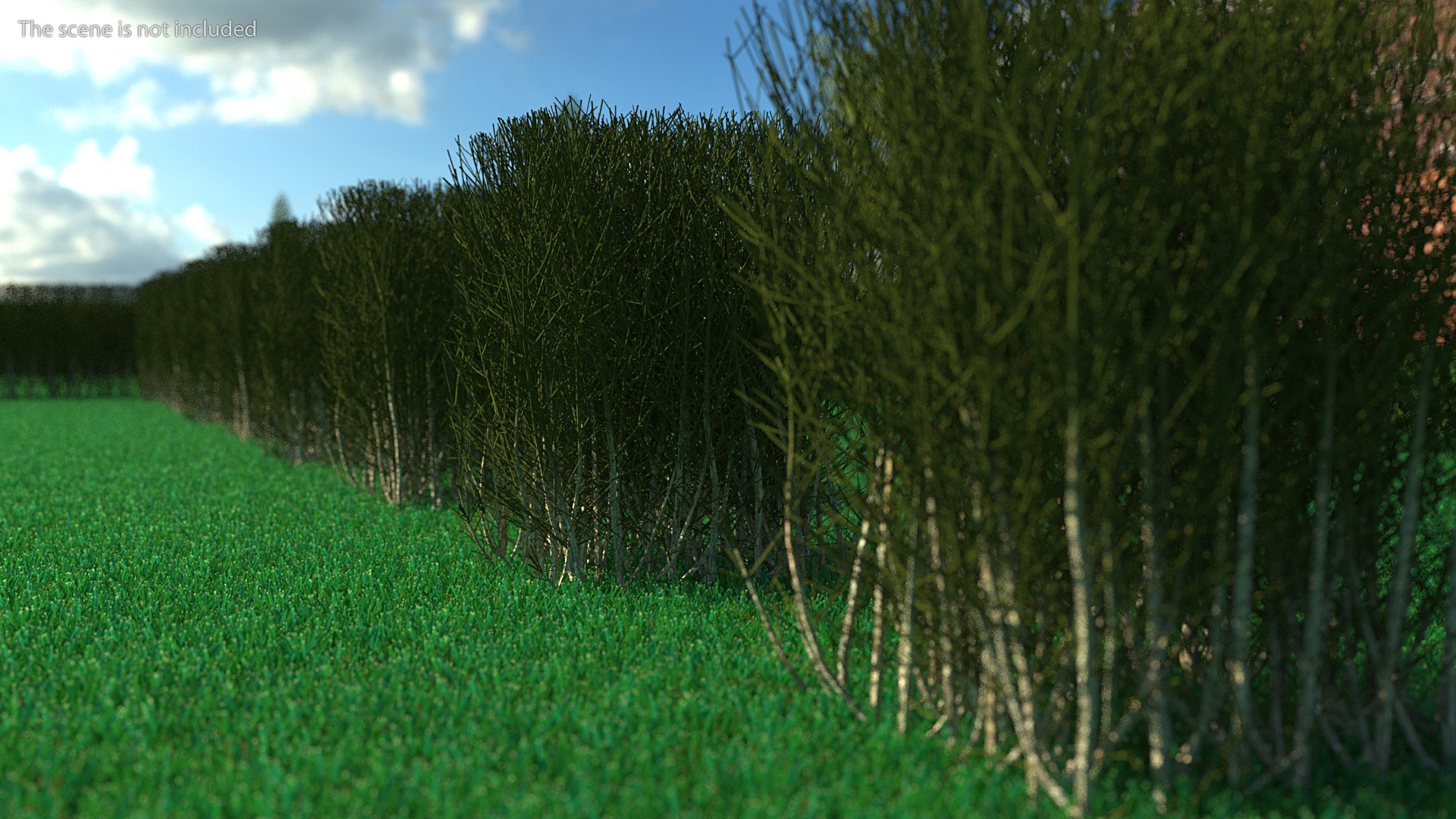 Square Bush 3D Model - TurboSquid 1575159