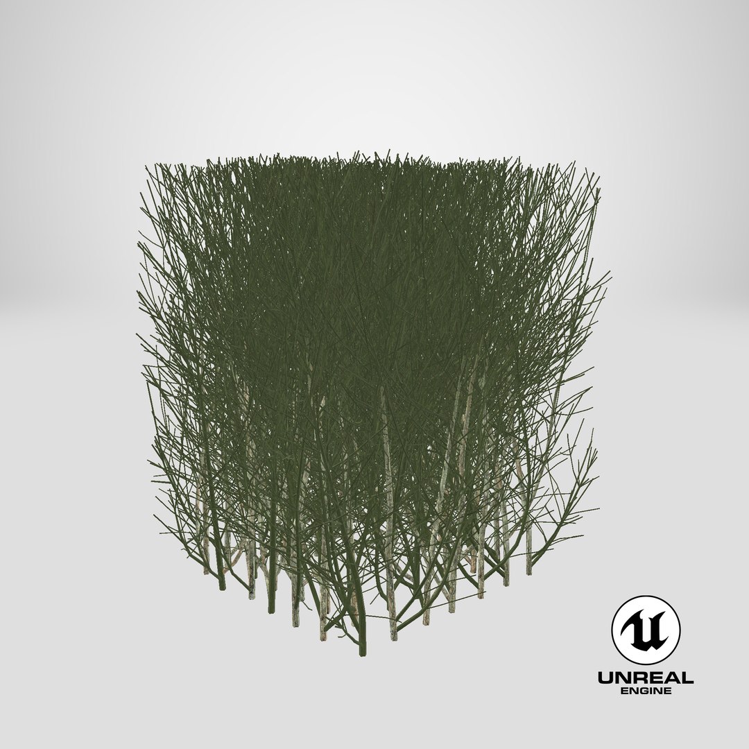Square Bush 3D Model - TurboSquid 1575159