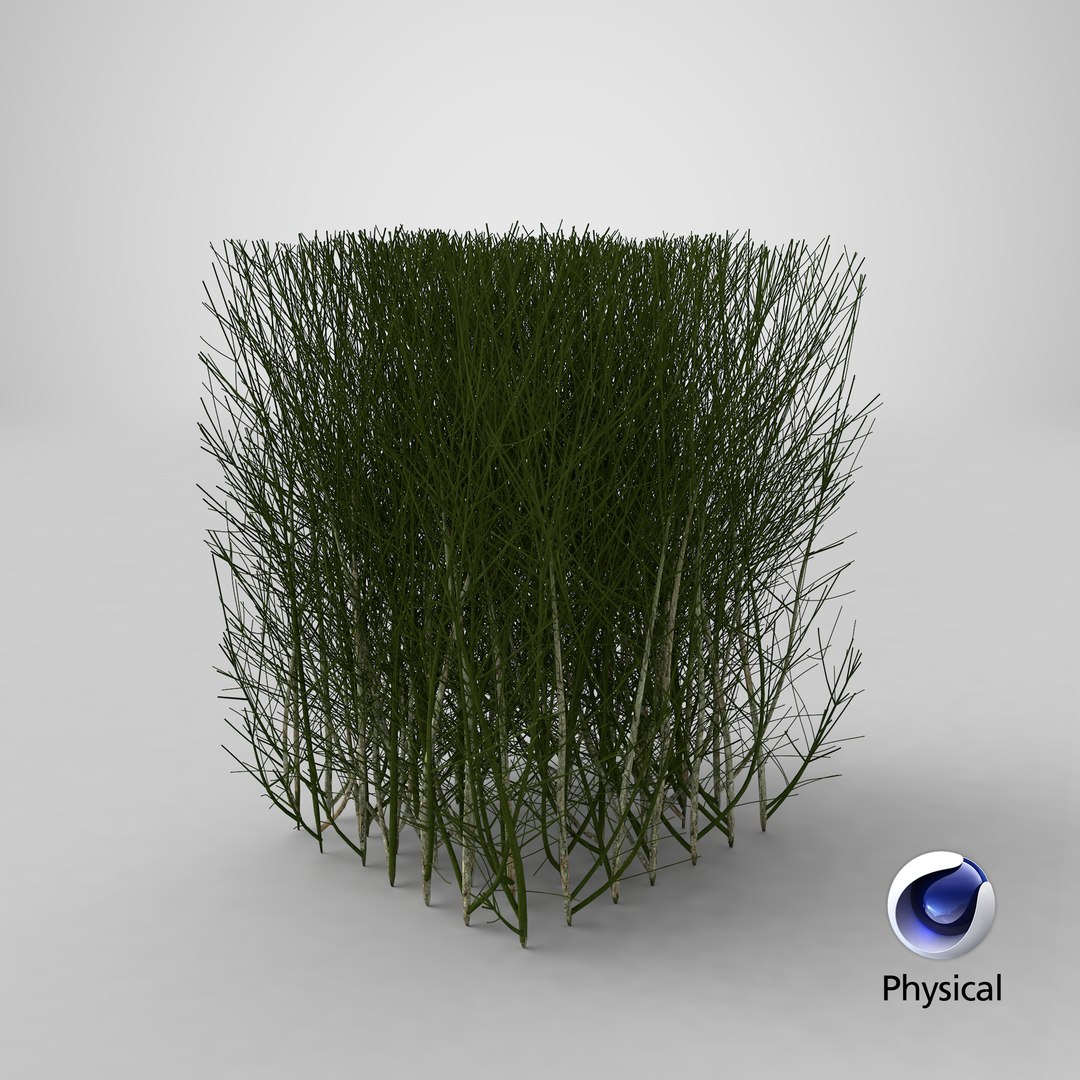 Square Bush 3D Model - TurboSquid 1575159