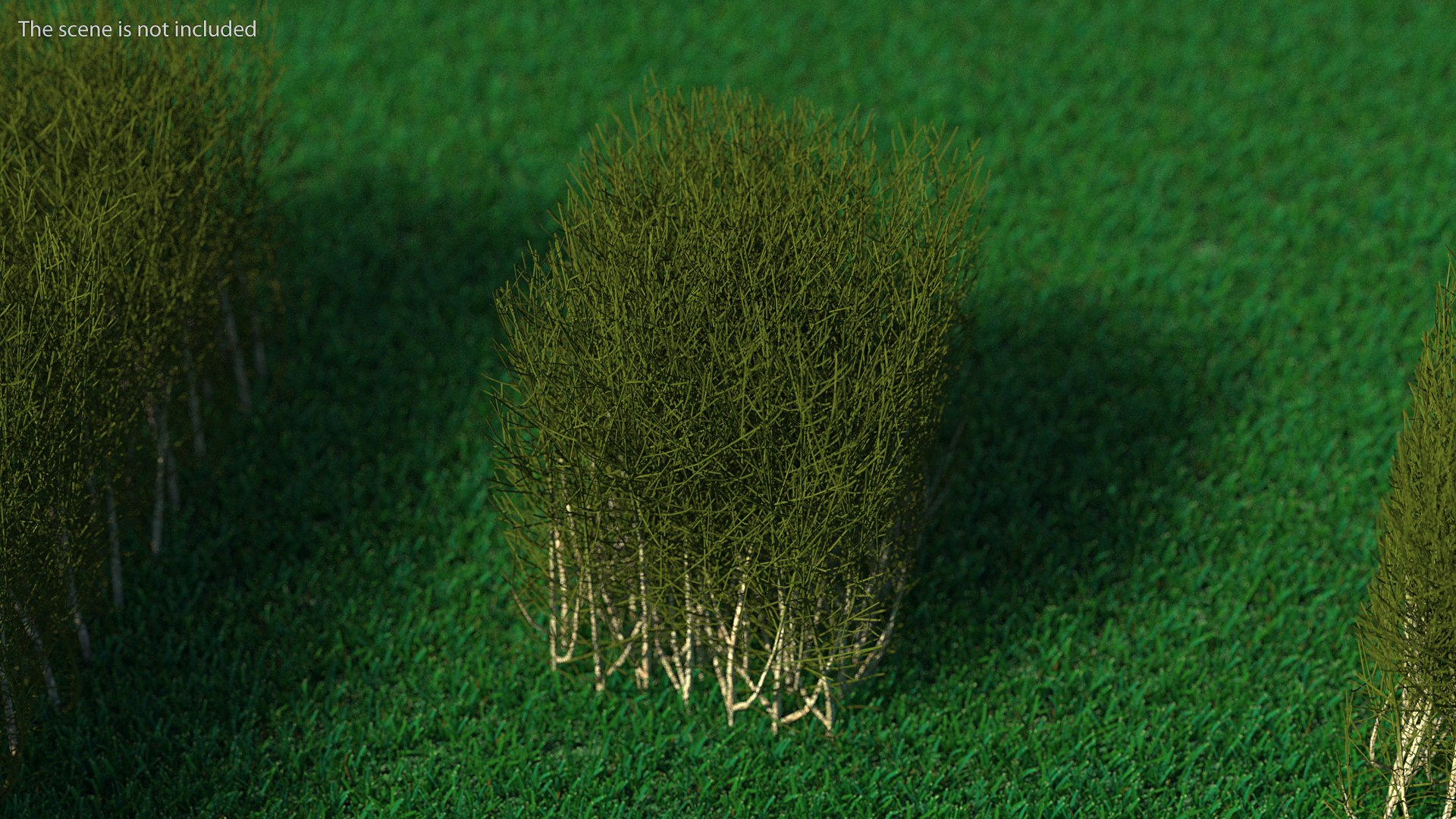 Square Bush 3D Model - TurboSquid 1575159