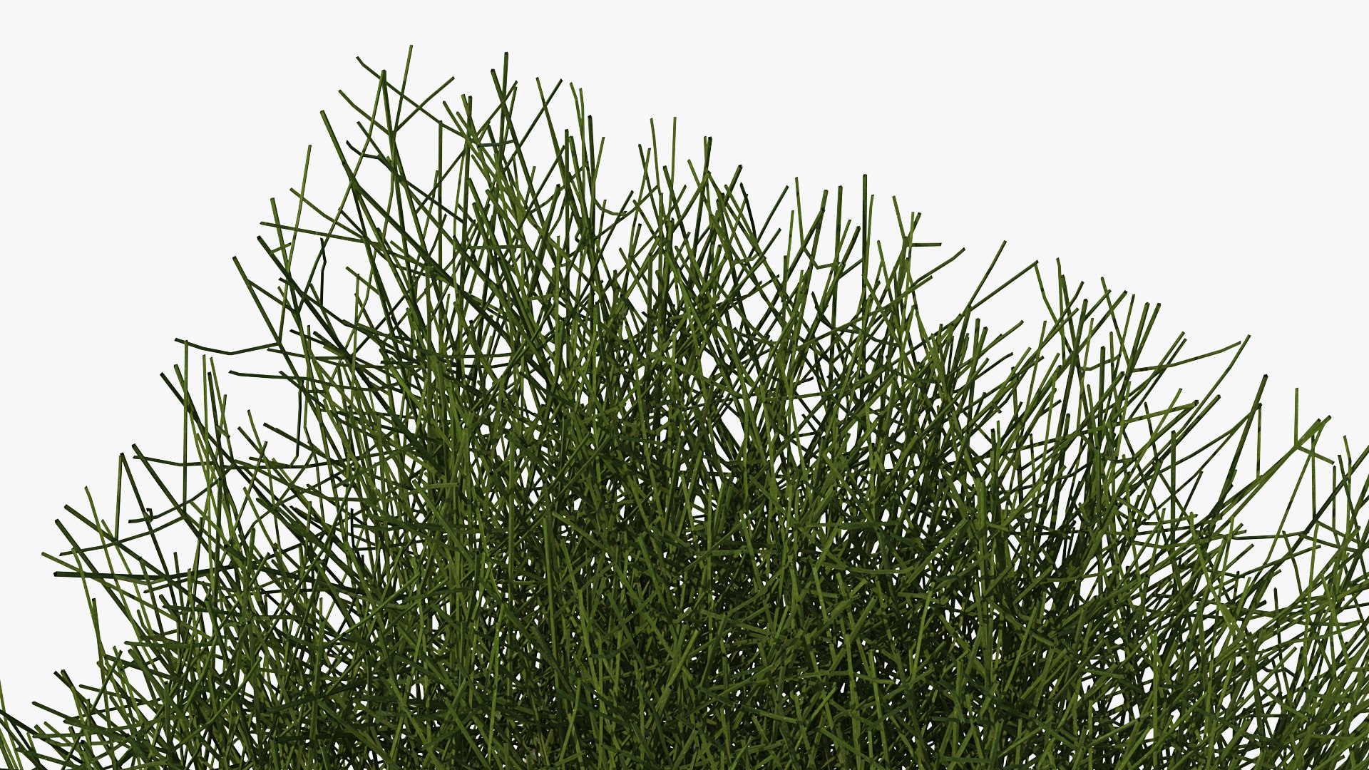 Square Bush 3D Model - TurboSquid 1575159