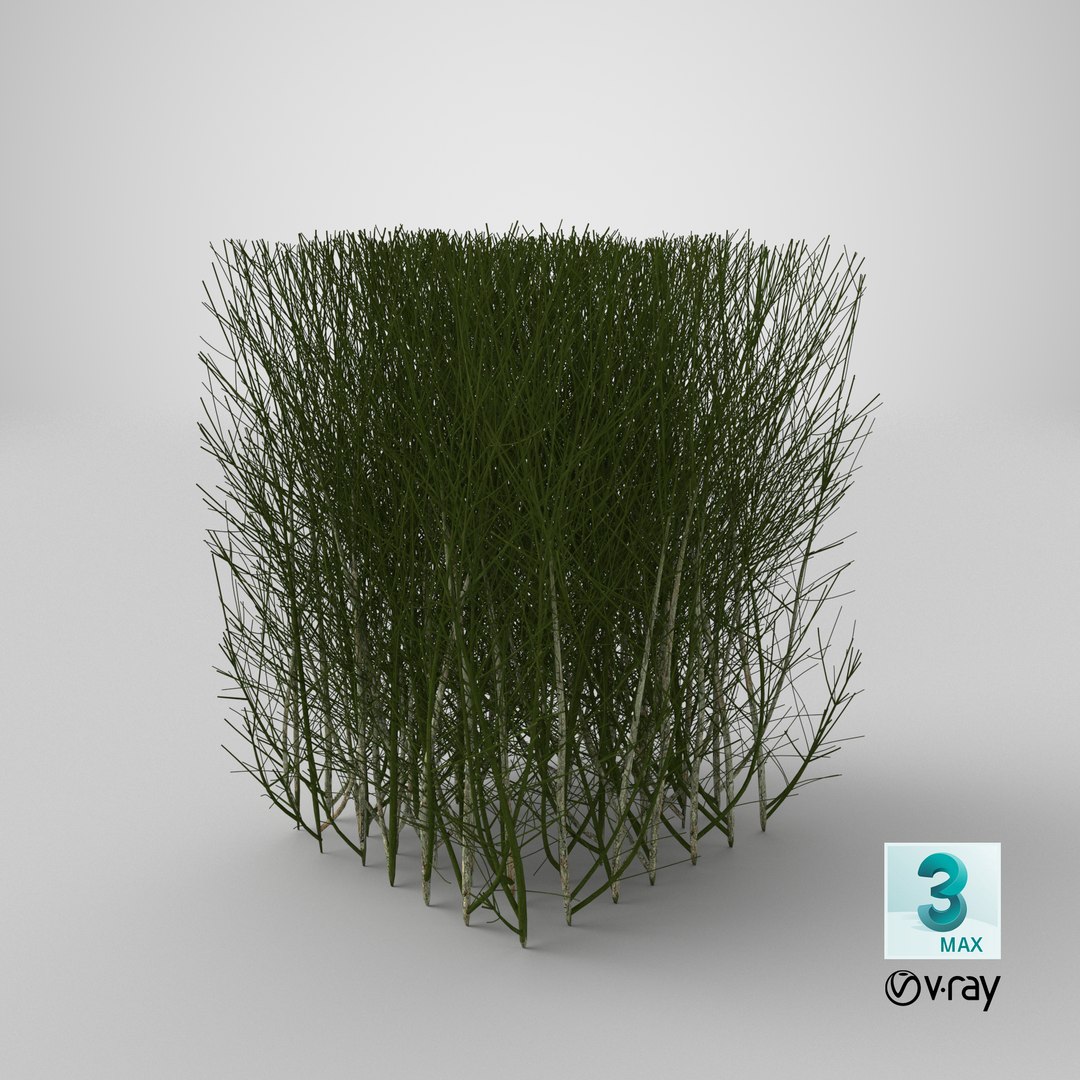 Square Bush 3D Model - TurboSquid 1575159