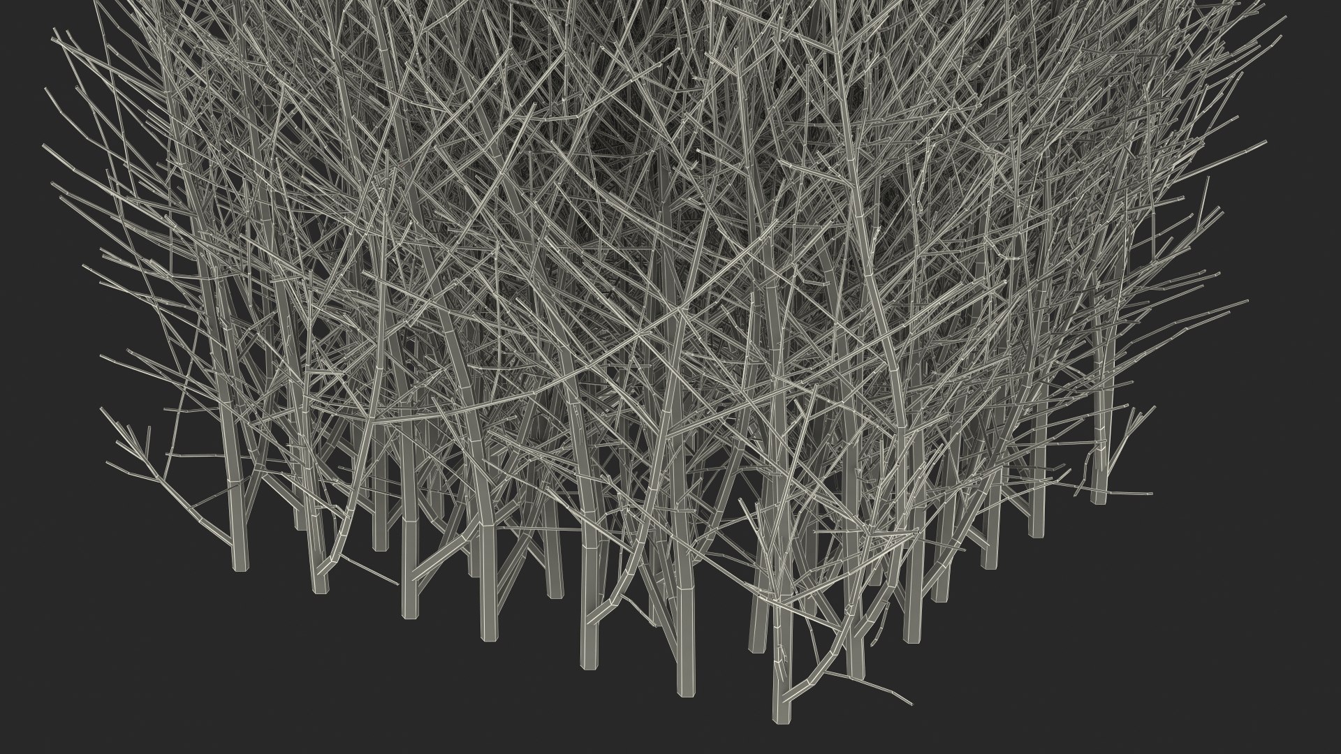 Square Bush 3D Model - TurboSquid 1575159