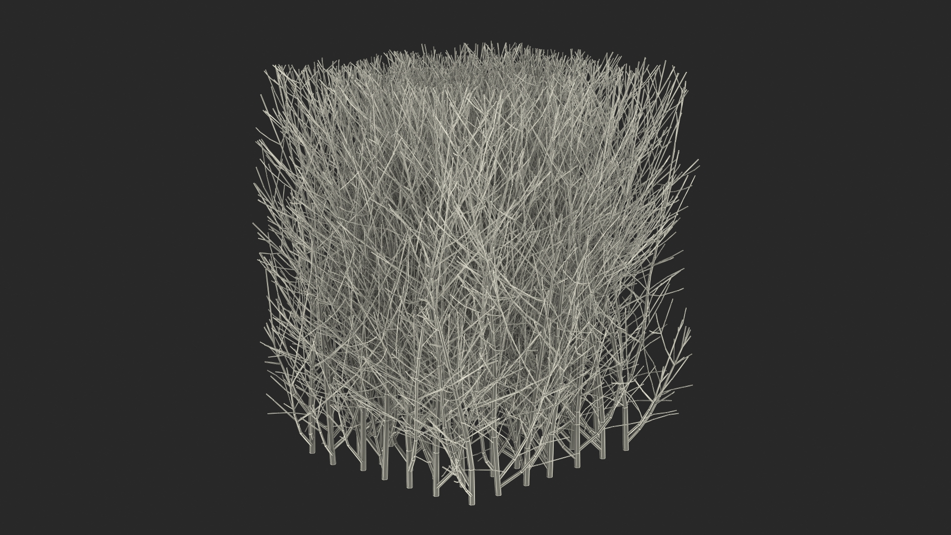 Square Bush 3D Model - TurboSquid 1575159