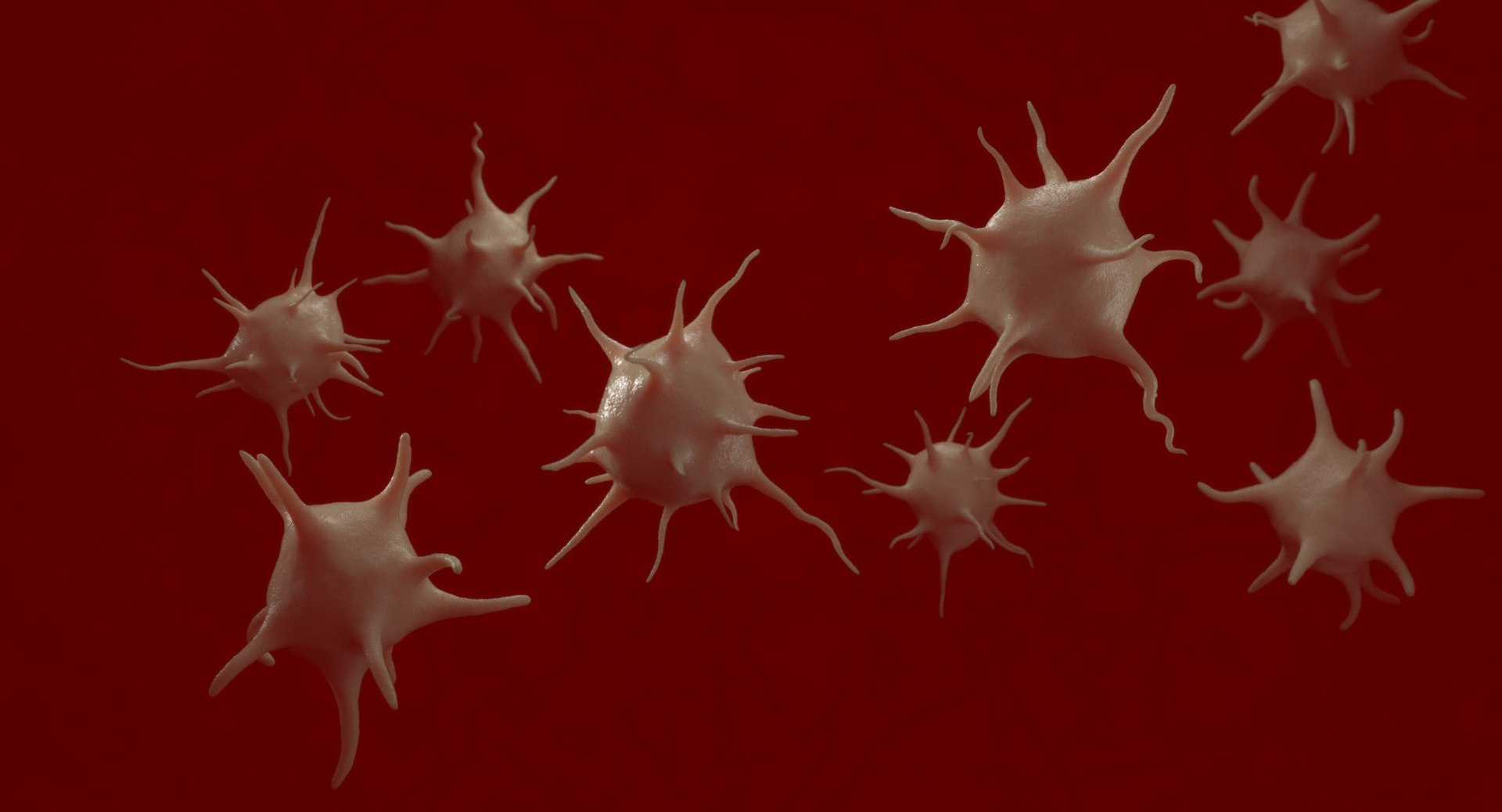 3D Platelet Thrombocyte Model - TurboSquid 1396251