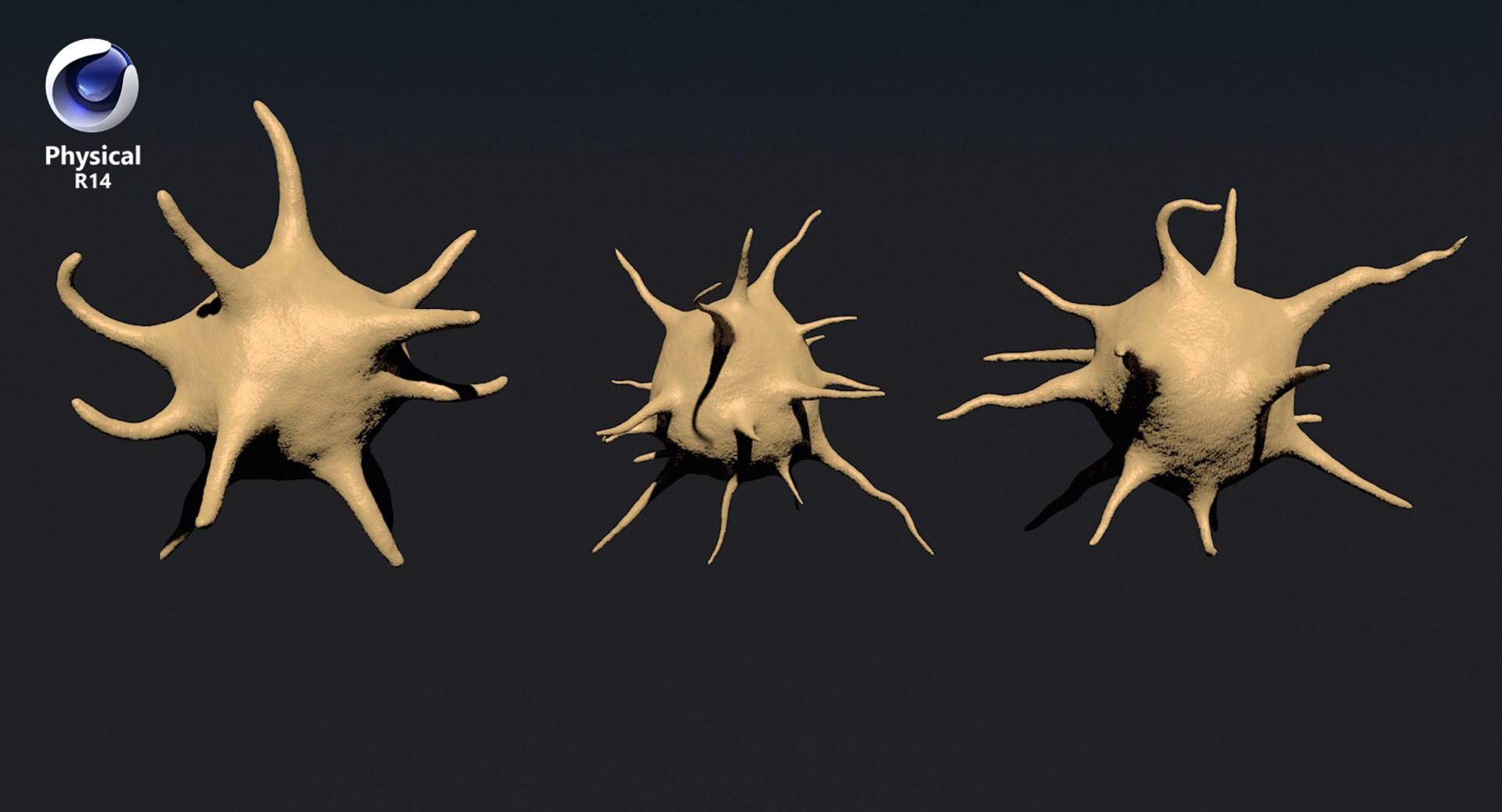 3D Platelet Thrombocyte Model - TurboSquid 1396251