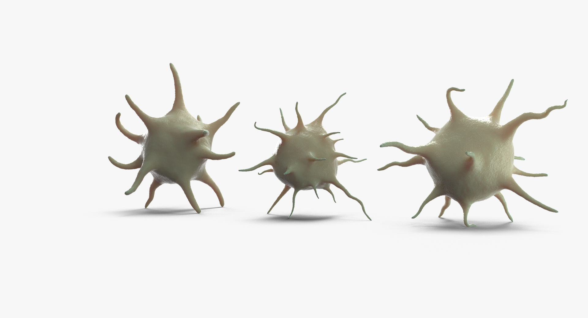 3D platelet thrombocyte model - TurboSquid 1396251