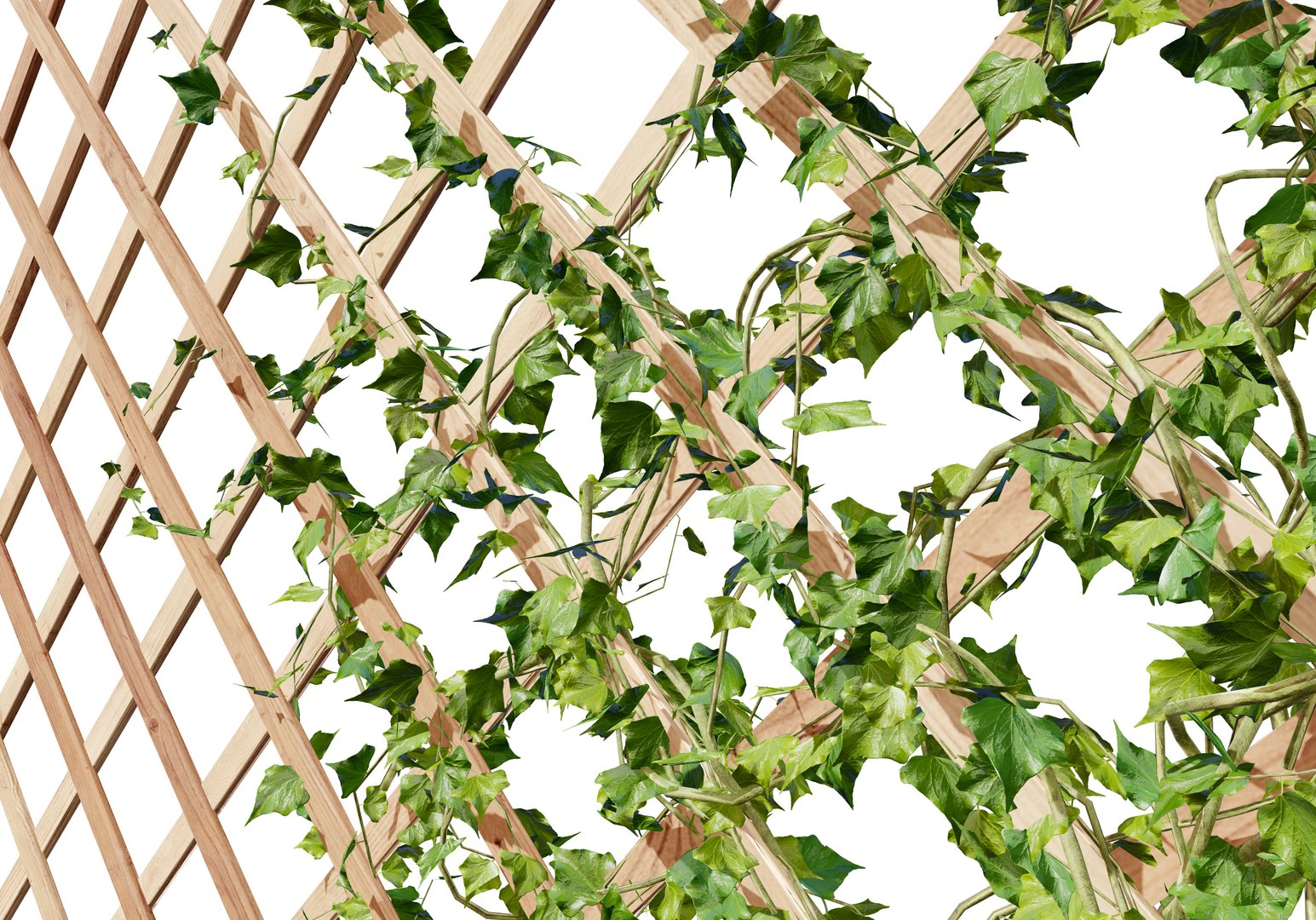 Low Poly 3d Model Of Ivy Climber On Wood Mesh Wall 3D - TurboSquid 2153550