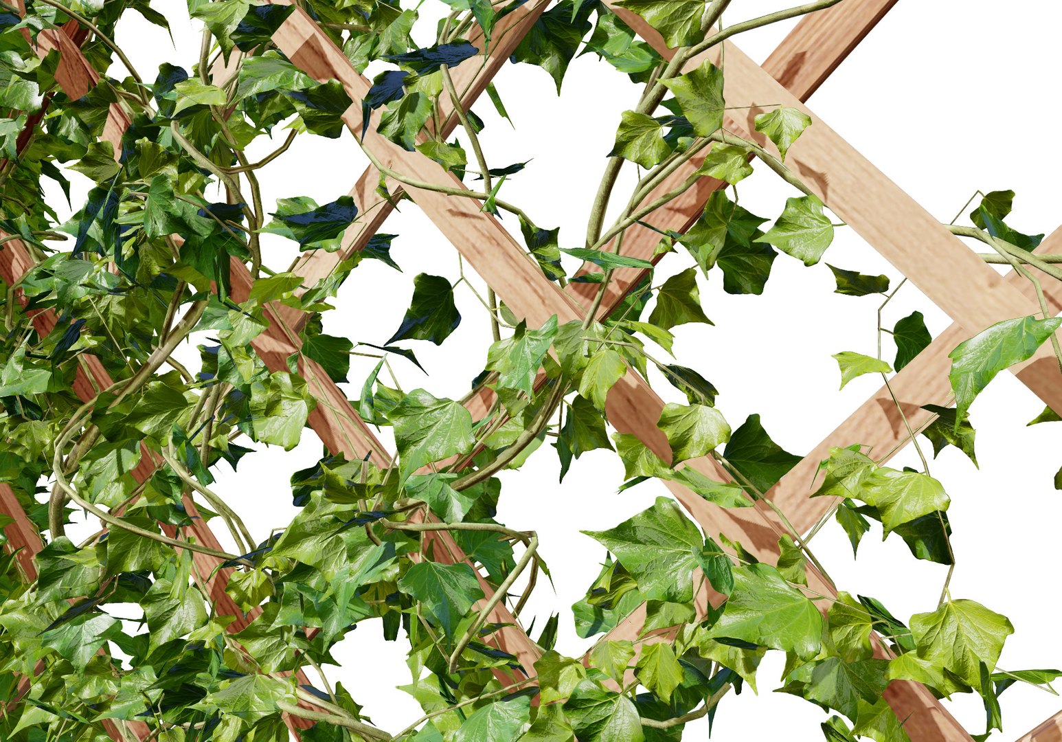 Low Poly 3d Model Of Ivy Climber On Wood Mesh Wall 3D - TurboSquid 2153550