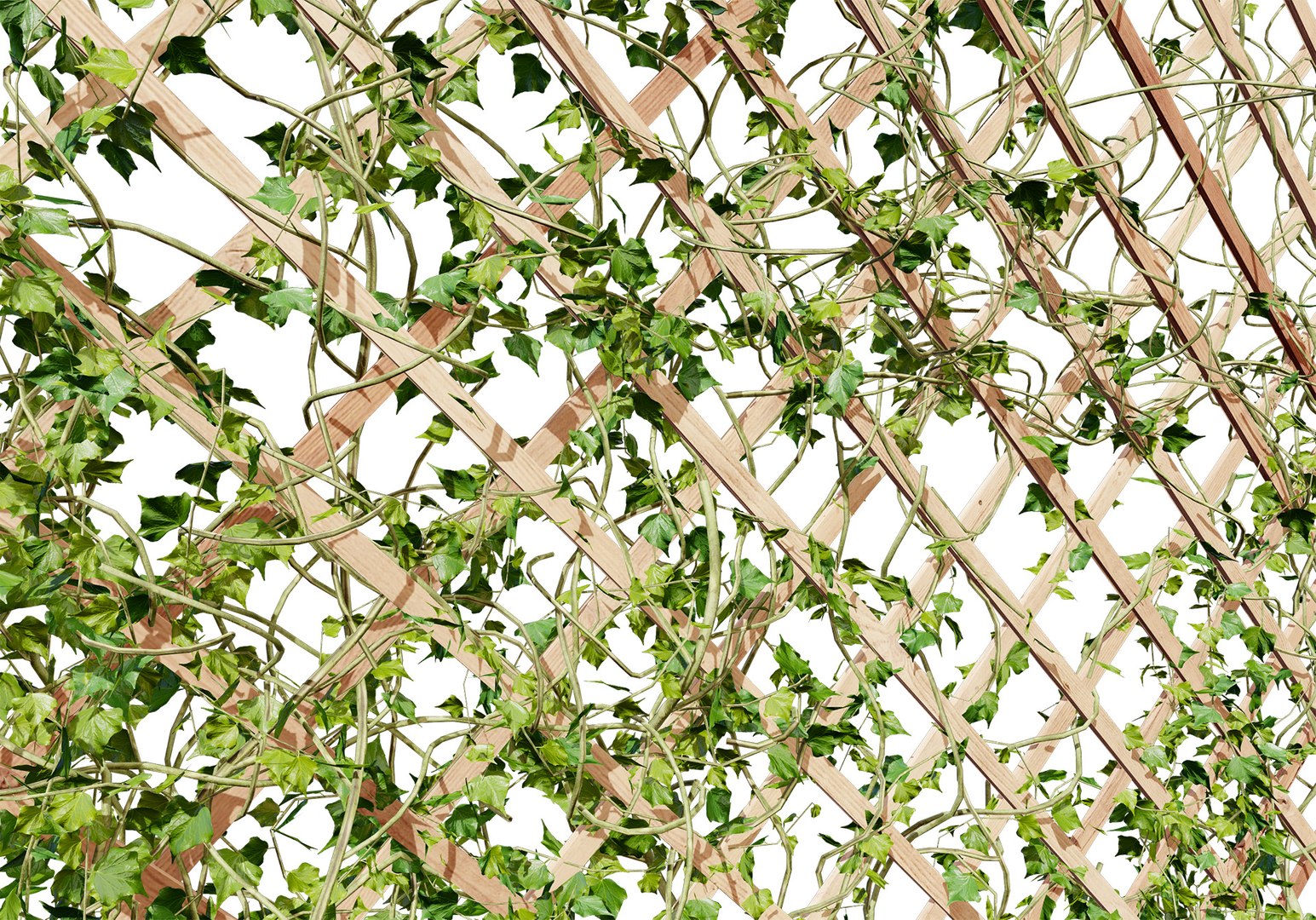 Low Poly 3d Model Of Ivy Climber On Wood Mesh Wall 3D - TurboSquid 2153550