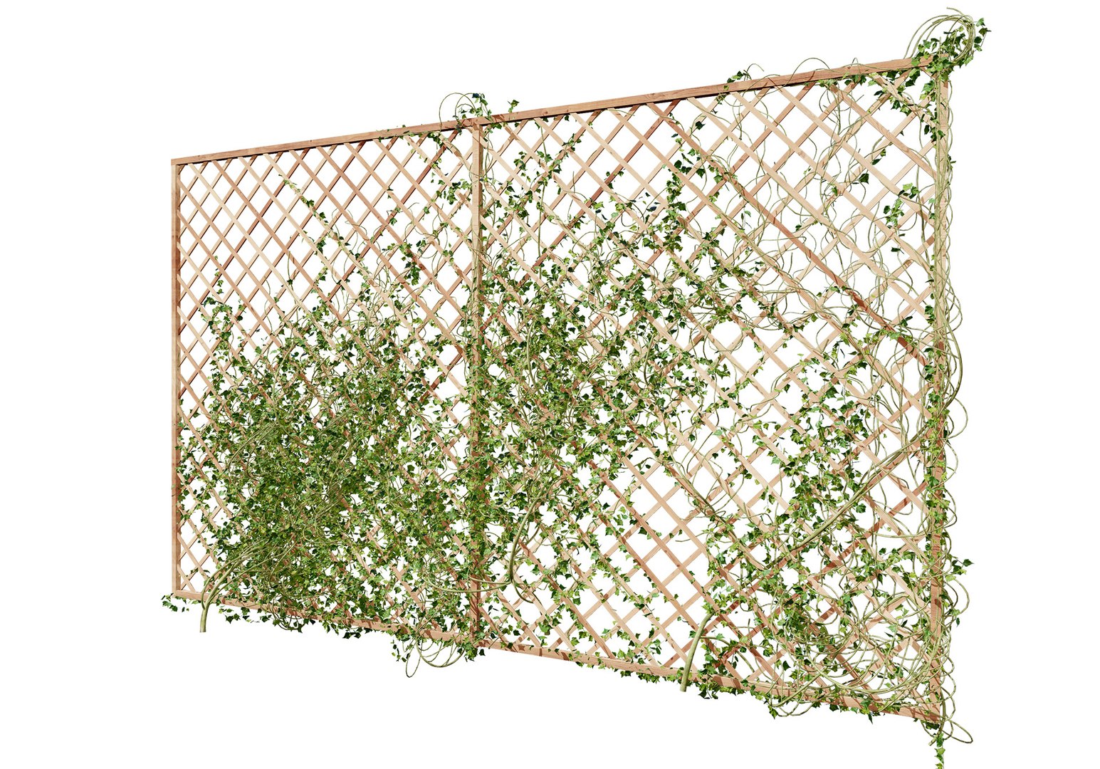 Low Poly 3d Model Of Ivy Climber On Wood Mesh Wall 3D - TurboSquid 2153550