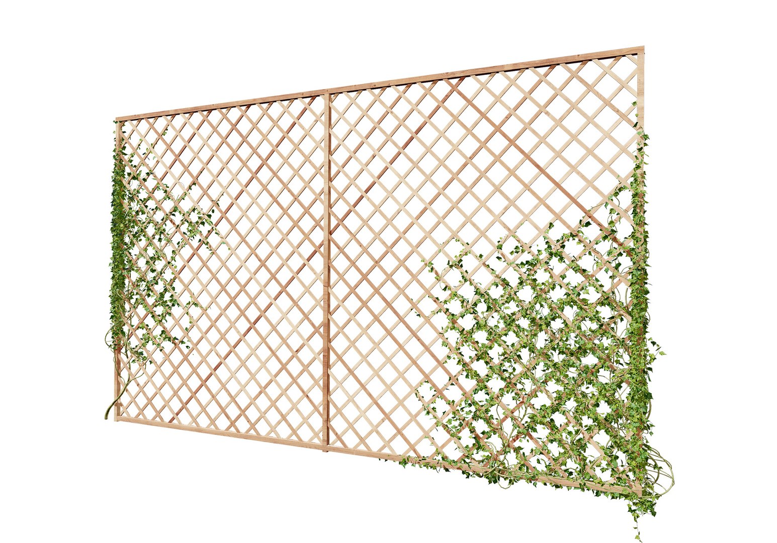 Low Poly 3d Model Of Ivy Climber On Wood Mesh Wall 3D - TurboSquid 2153550