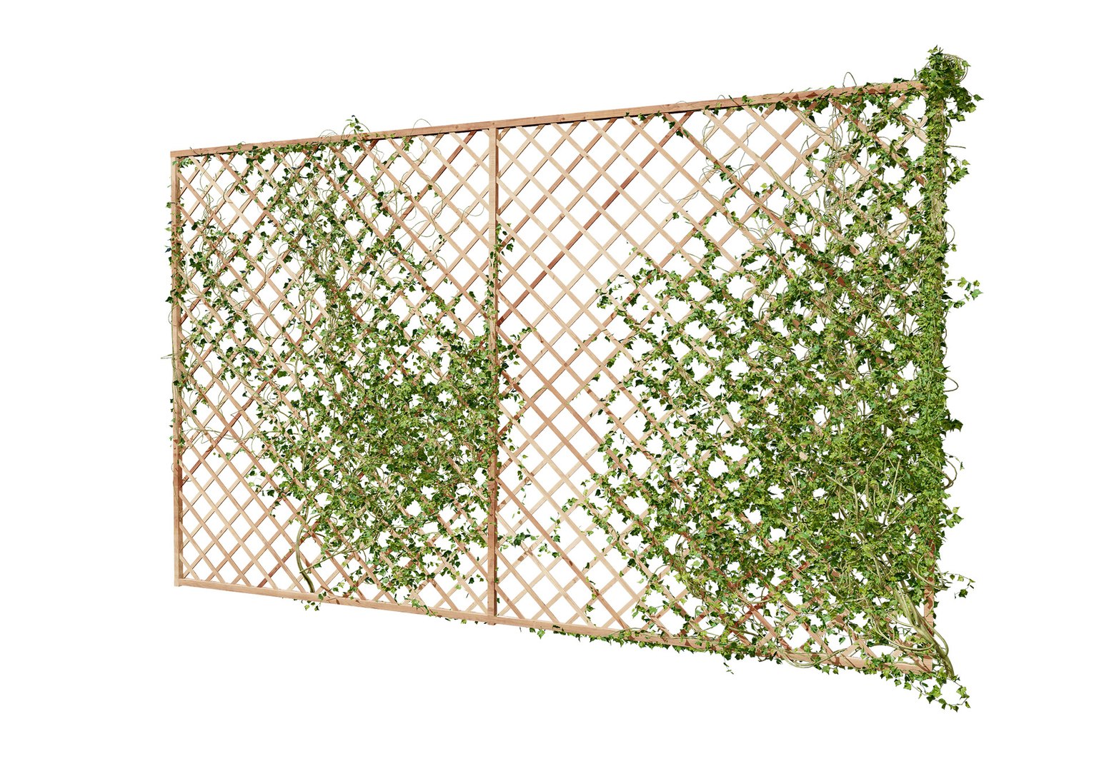 Low Poly 3d Model Of Ivy Climber On Wood Mesh Wall 3D - TurboSquid 2153550