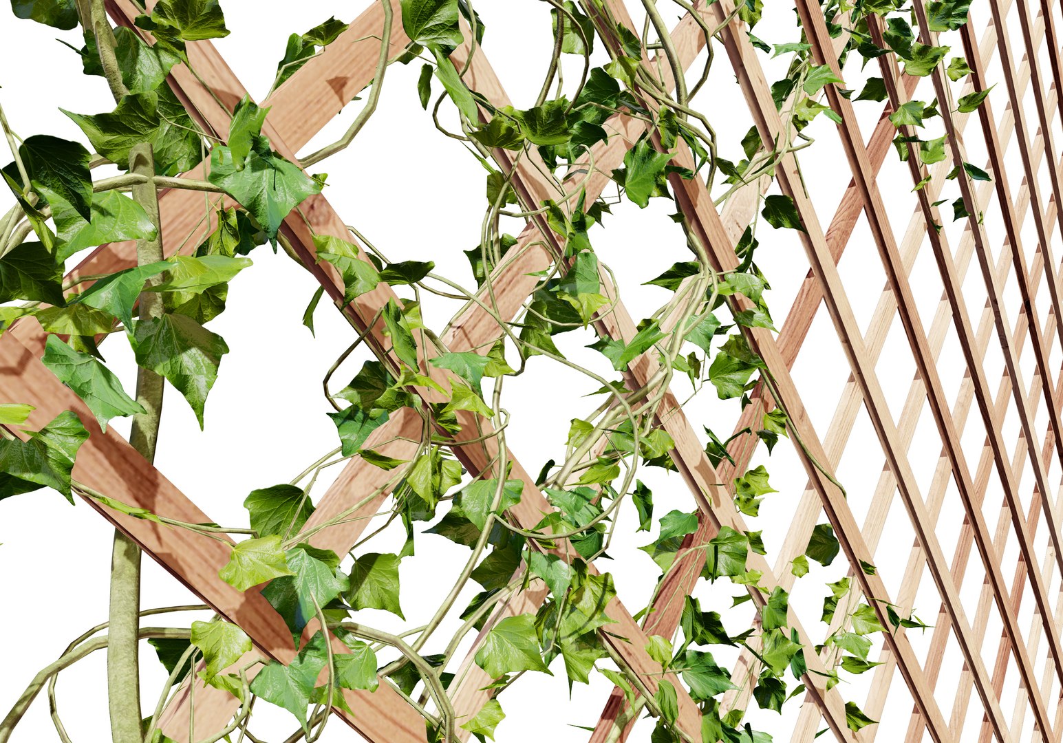 Low Poly 3d Model Of Ivy Climber On Wood Mesh Wall 3D - TurboSquid 2153550