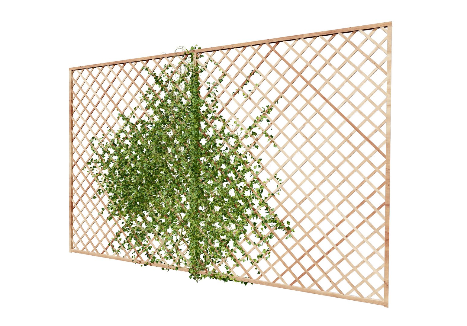 Low Poly 3d Model Of Ivy Climber On Wood Mesh Wall 3D - TurboSquid 2153550
