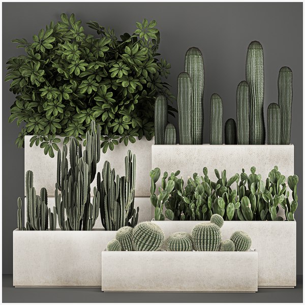 Decorative cactus in a black pot for the interior 1067 3D model ...