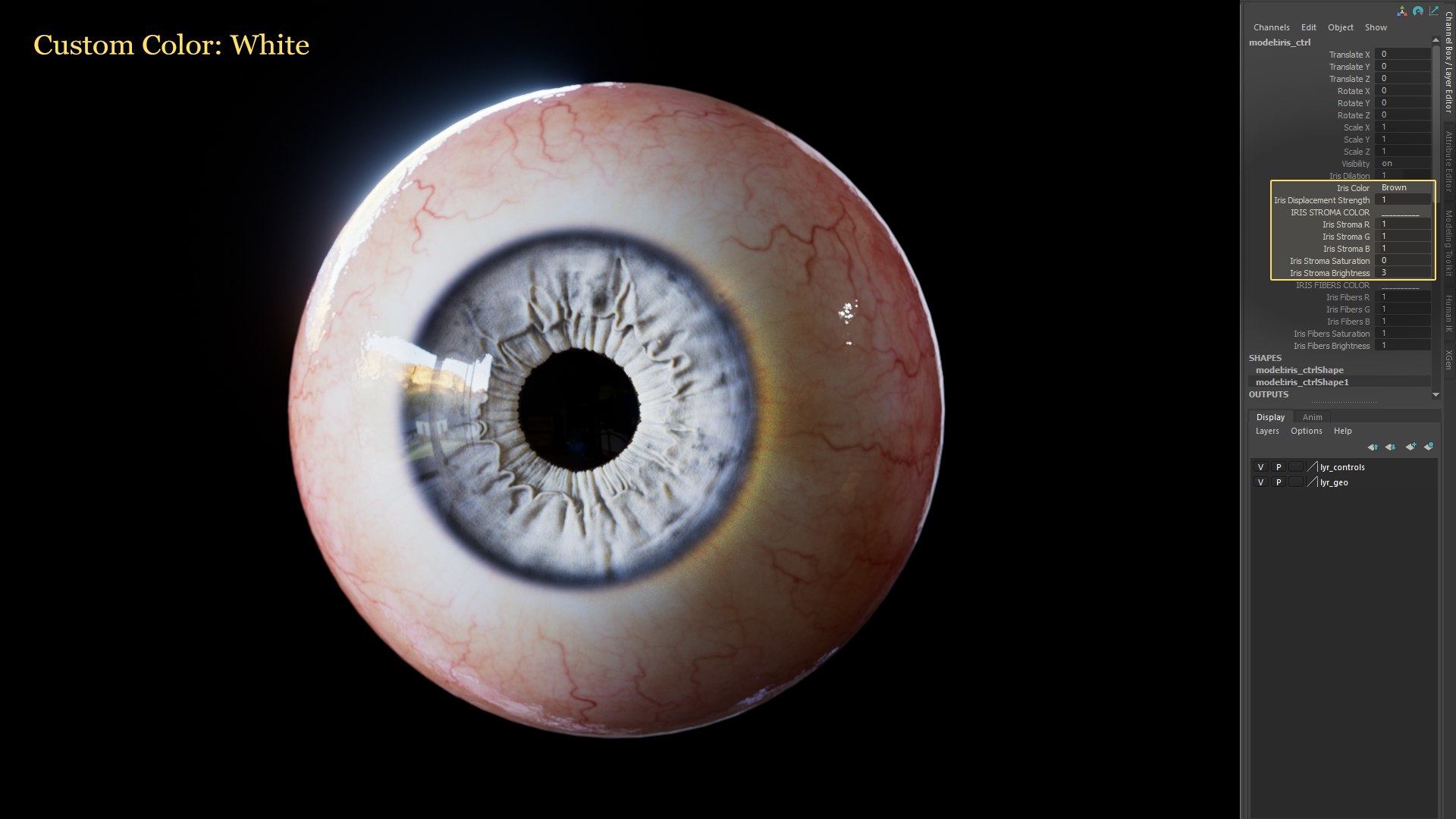 Realistic Human Eye With Customizable Colors 3D Model - TurboSquid 2170887