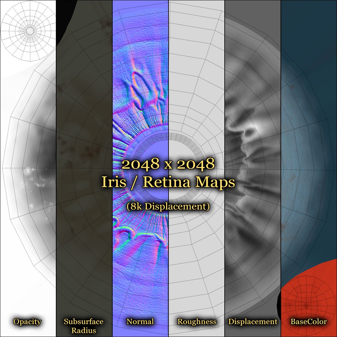 Realistic Human Eye With Customizable Colors 3D Model - TurboSquid 2170887