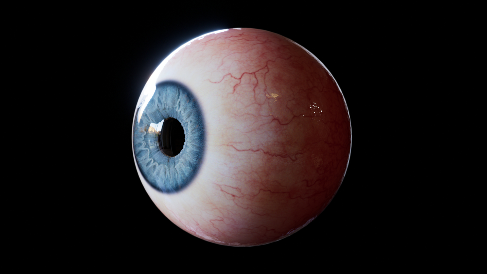 Realistic Human Eye With Customizable Colors 3D Model - TurboSquid 2170887