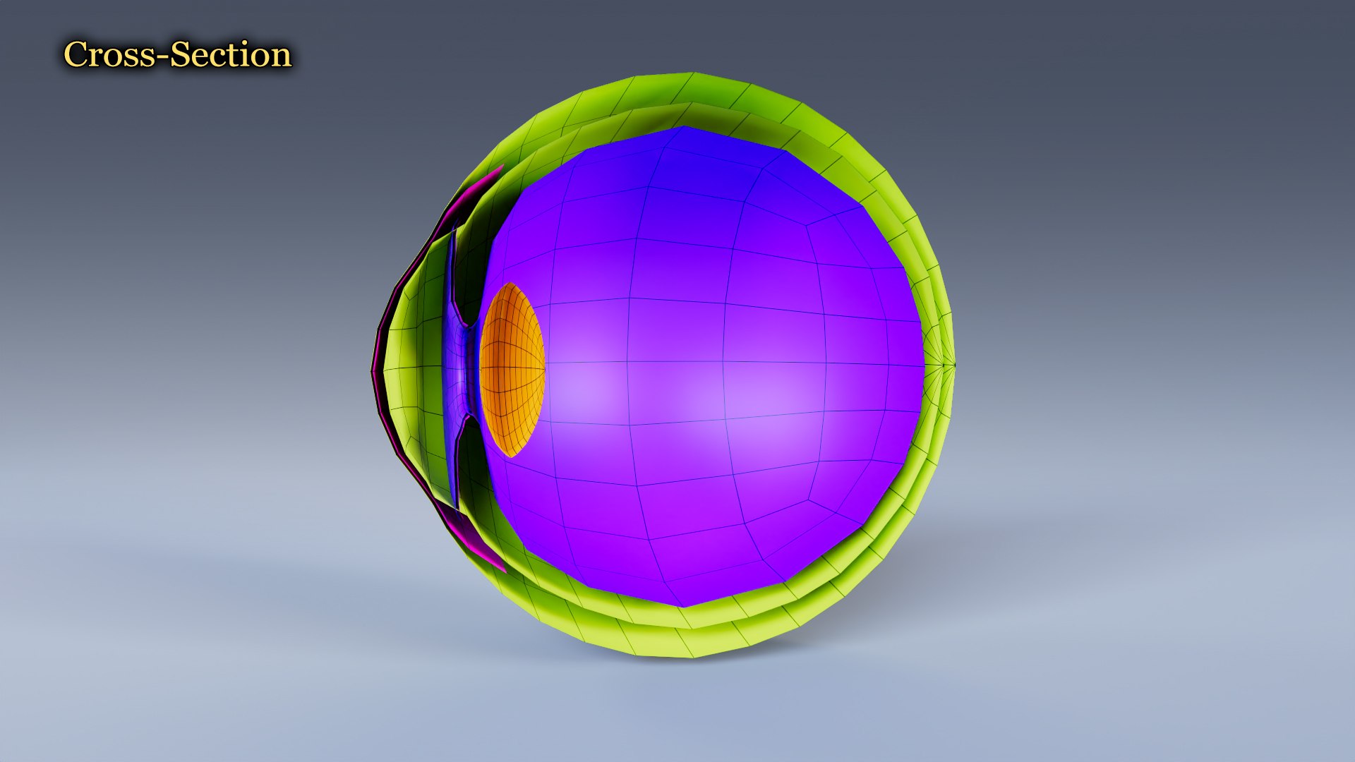 Realistic Human Eye With Customizable Colors 3D Model - TurboSquid 2170887