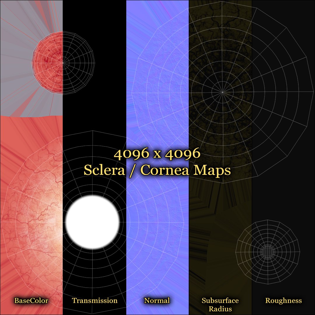 Realistic Human Eye With Customizable Colors 3D Model - TurboSquid 2170887