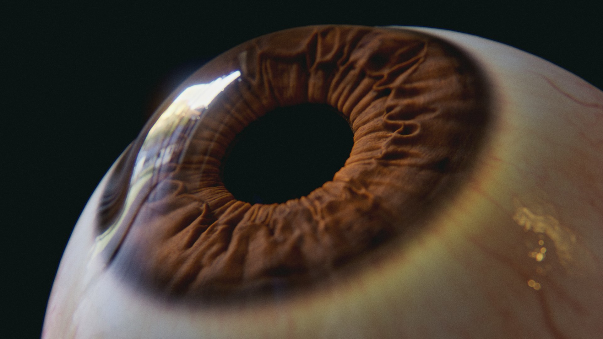 Realistic Human Eye With Customizable Colors 3D Model - TurboSquid 2170887
