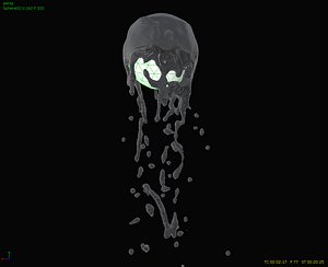 liquid splash 3d model