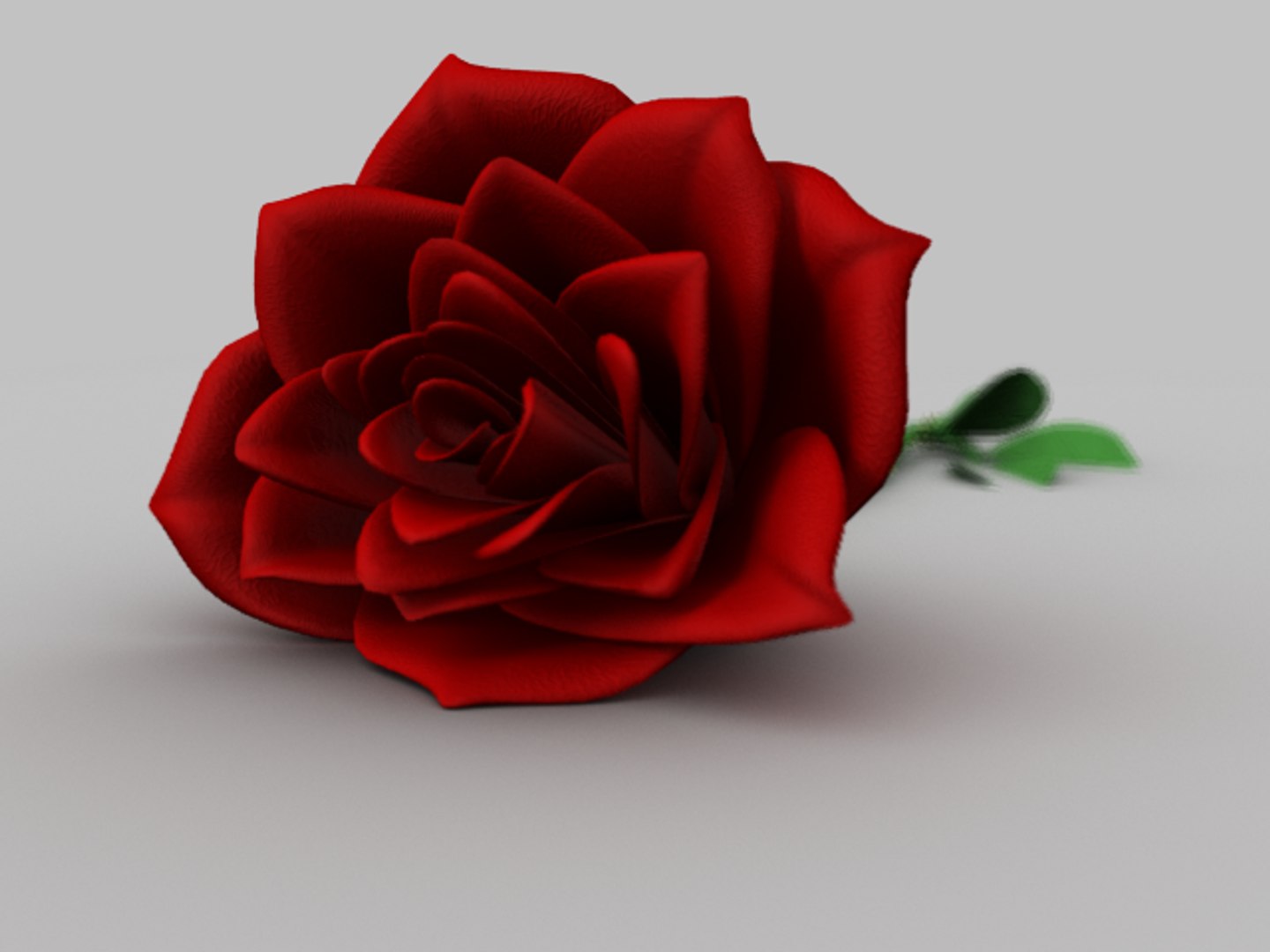 3d Rose