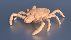 3D Tick Models | TurboSquid